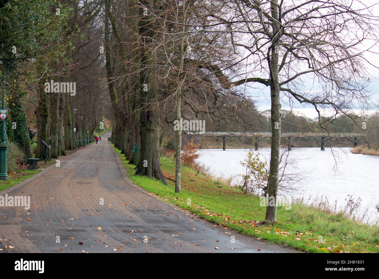 Avenham bridge hi-res stock photography and images - Alamy
