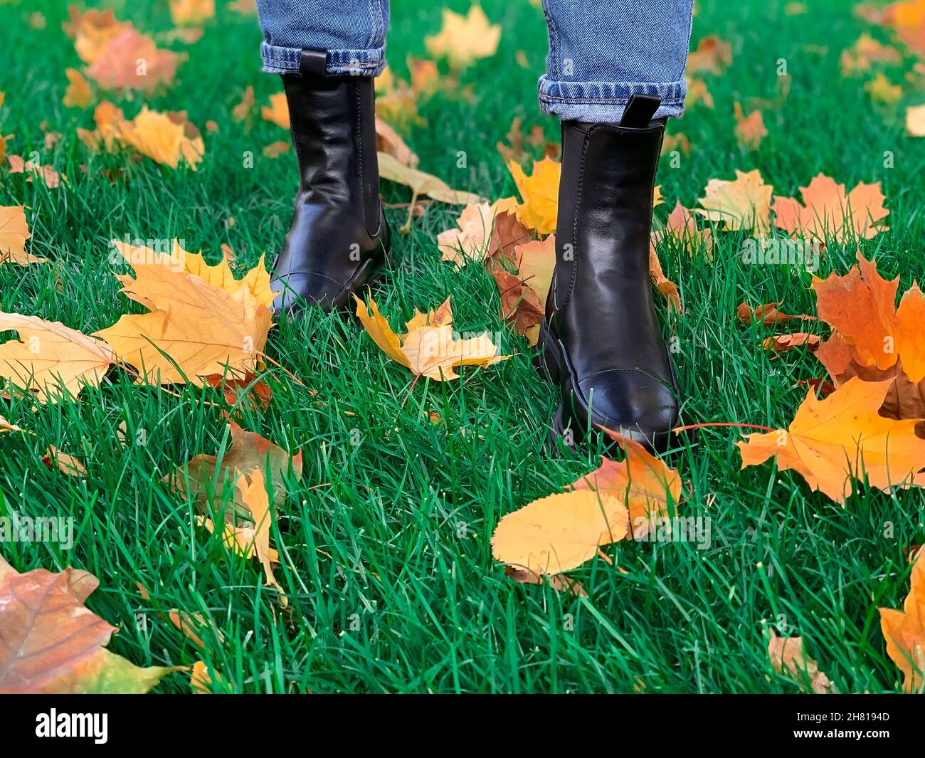 Autumn shoes in the fall foliage. Leaf fall. Autumn walks through ...