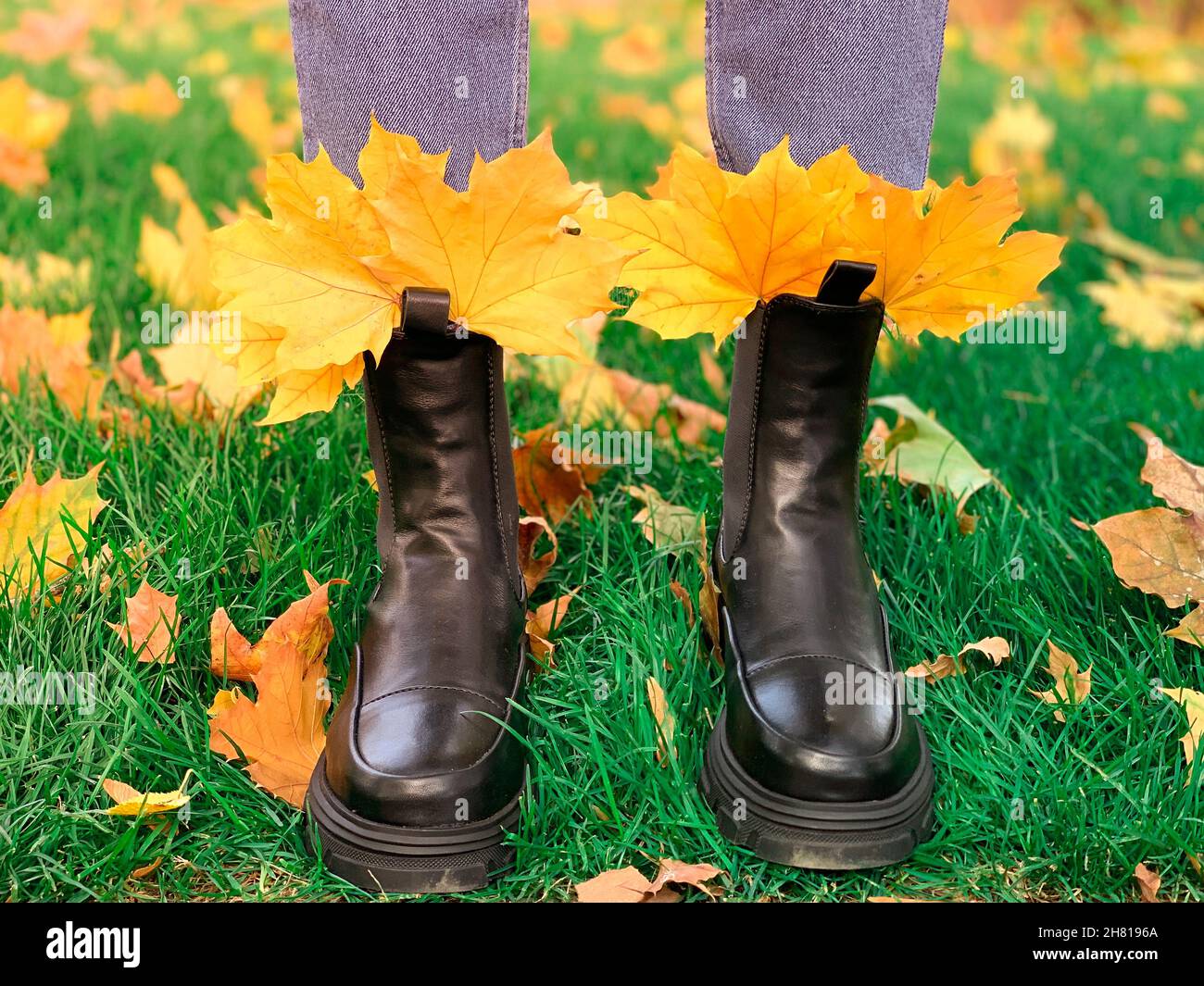 Autumn shoes in the fall foliage. Leaf fall. Autumn walks through ...
