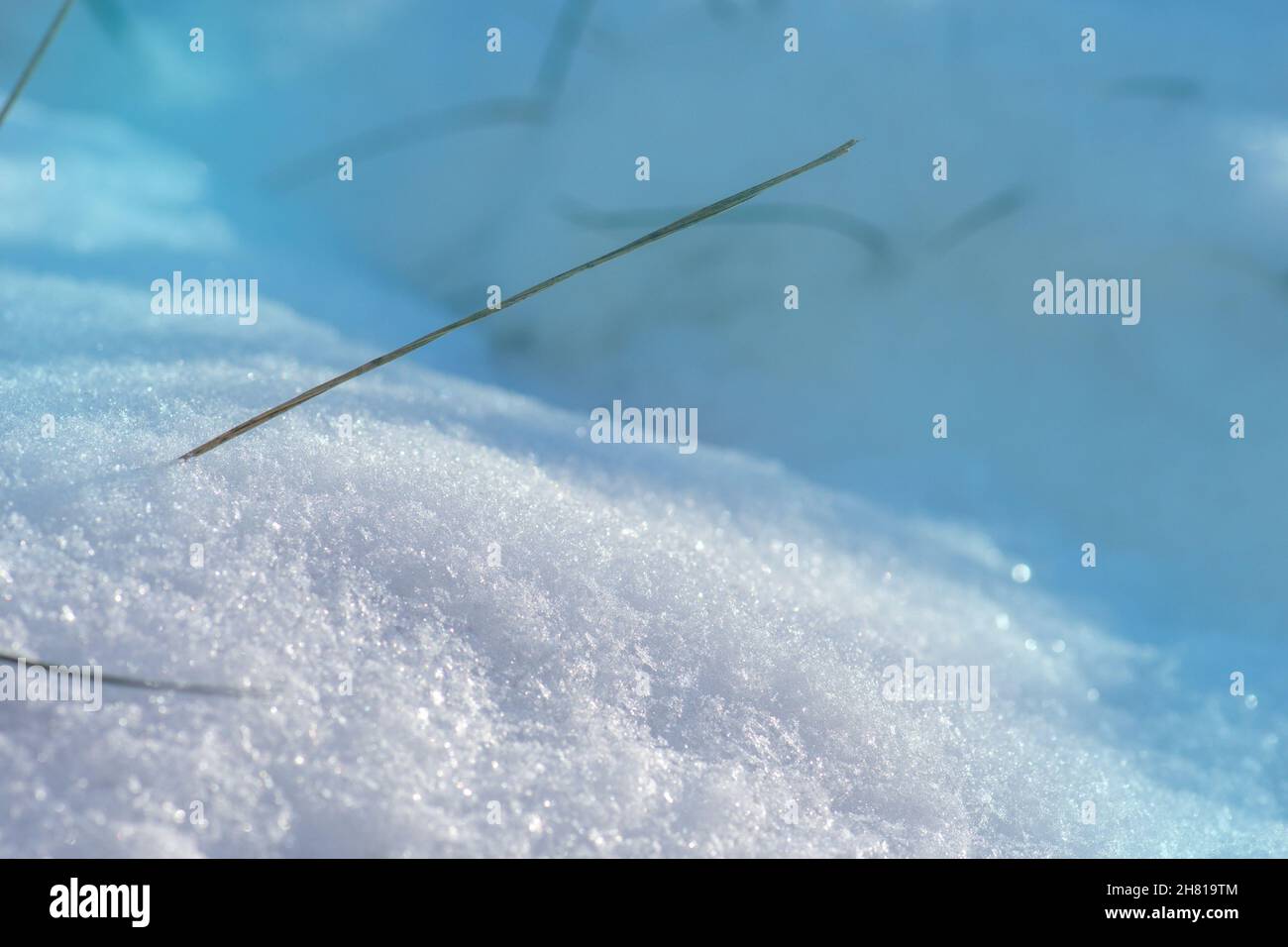 Real snow crystal hi-res stock photography and images - Alamy
