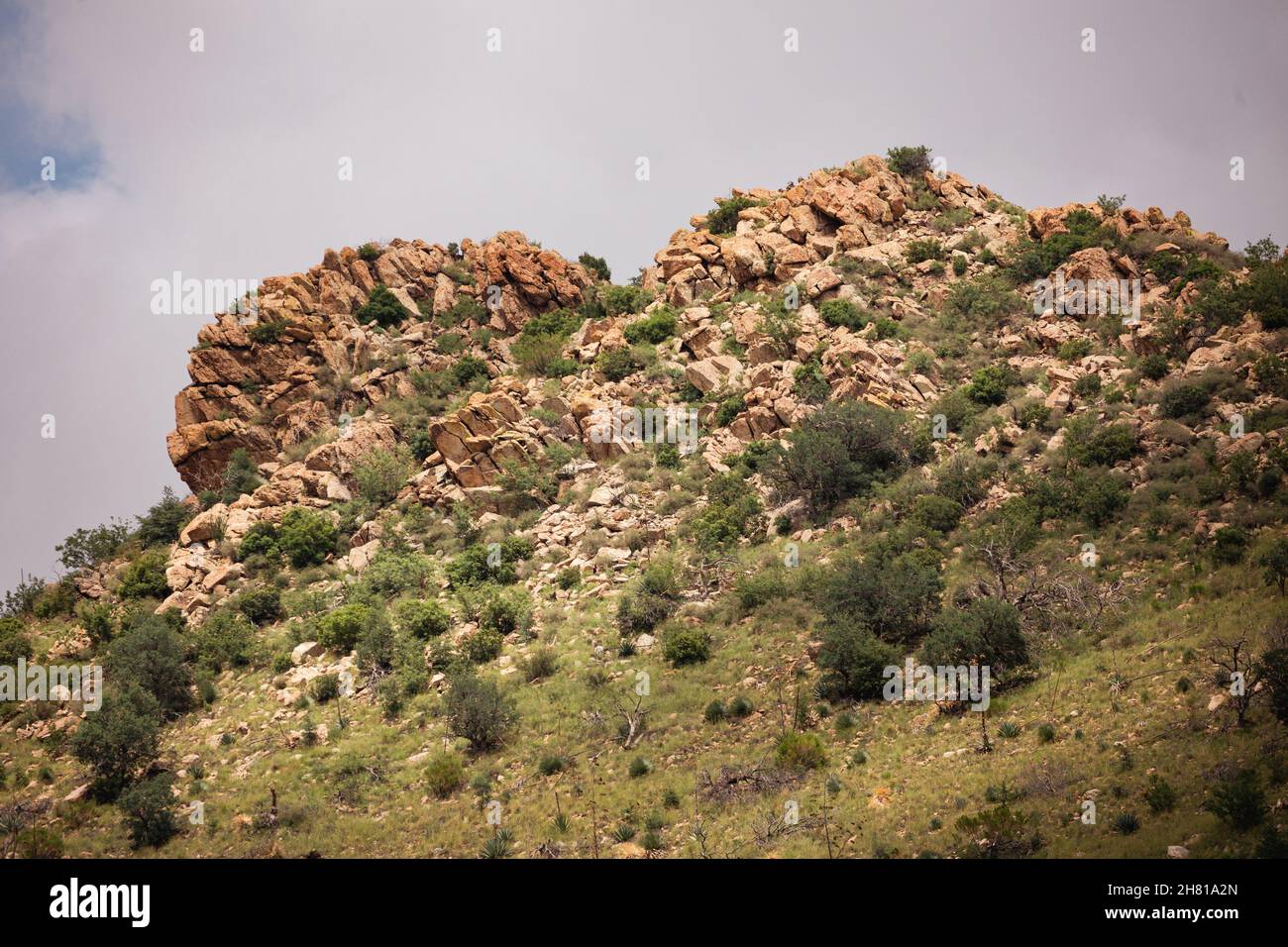 Beautiful shot of Granite Outcropping on a mountain with small plants ...