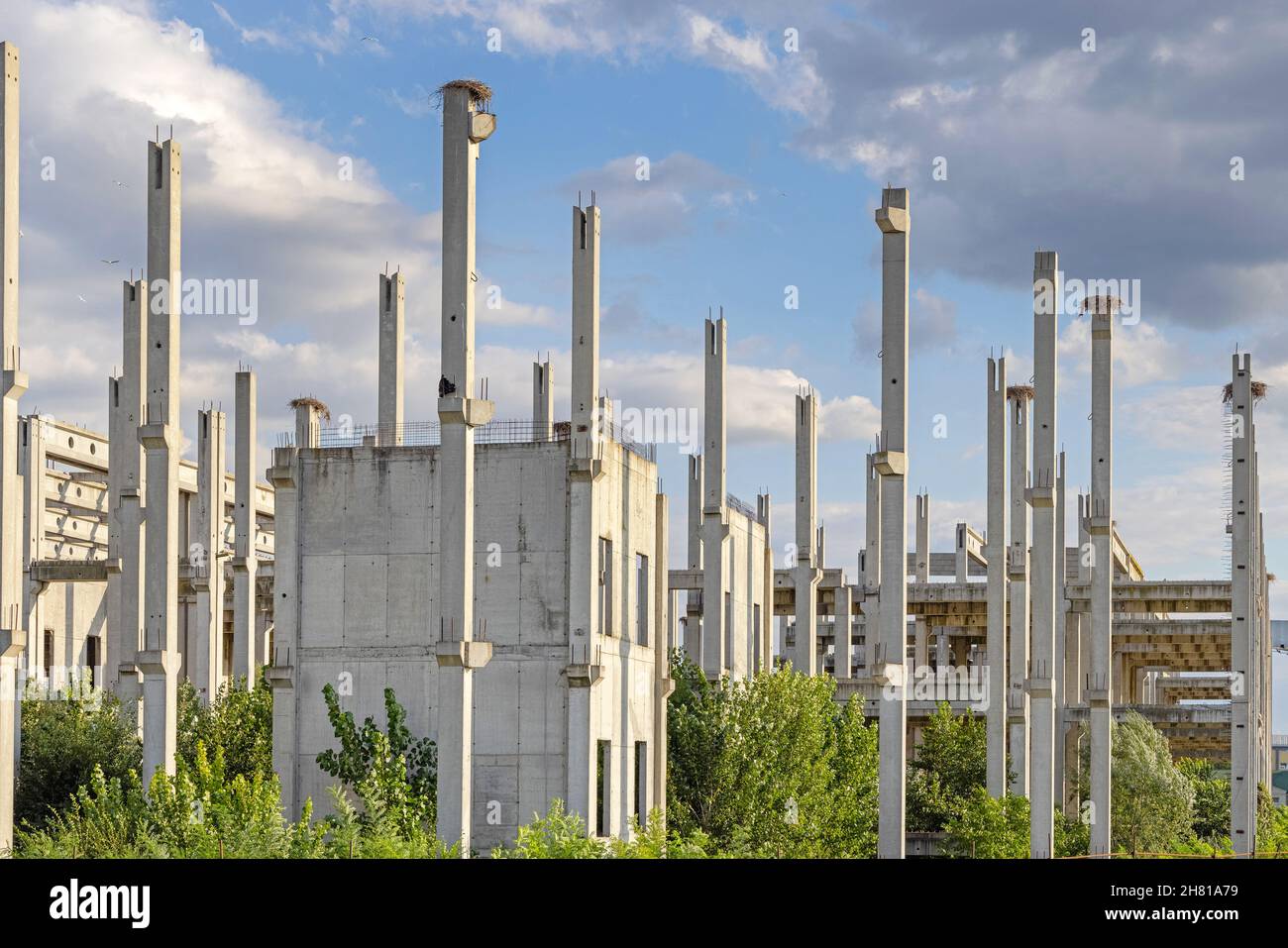 Abandoned Reinforced Concrete Big Building Construction Skeleton Stock ...