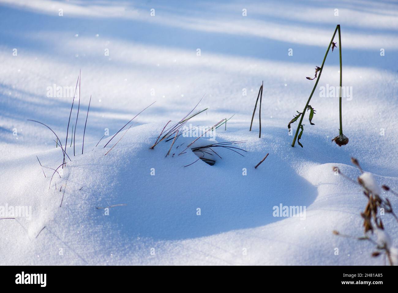 Winter background with snow drifts. Winter garden landscape with ...