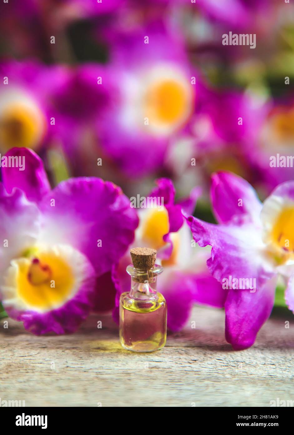 Orchid essential oil in a small bottle. Selective focus. Nature Stock ...