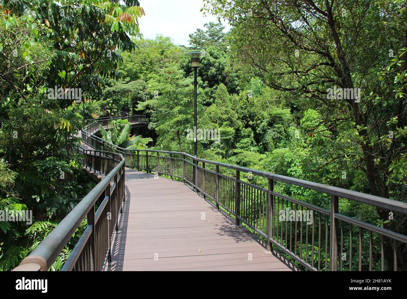 footbridge (canopy walk) at hort park in singapore Stock Photo - Alamy