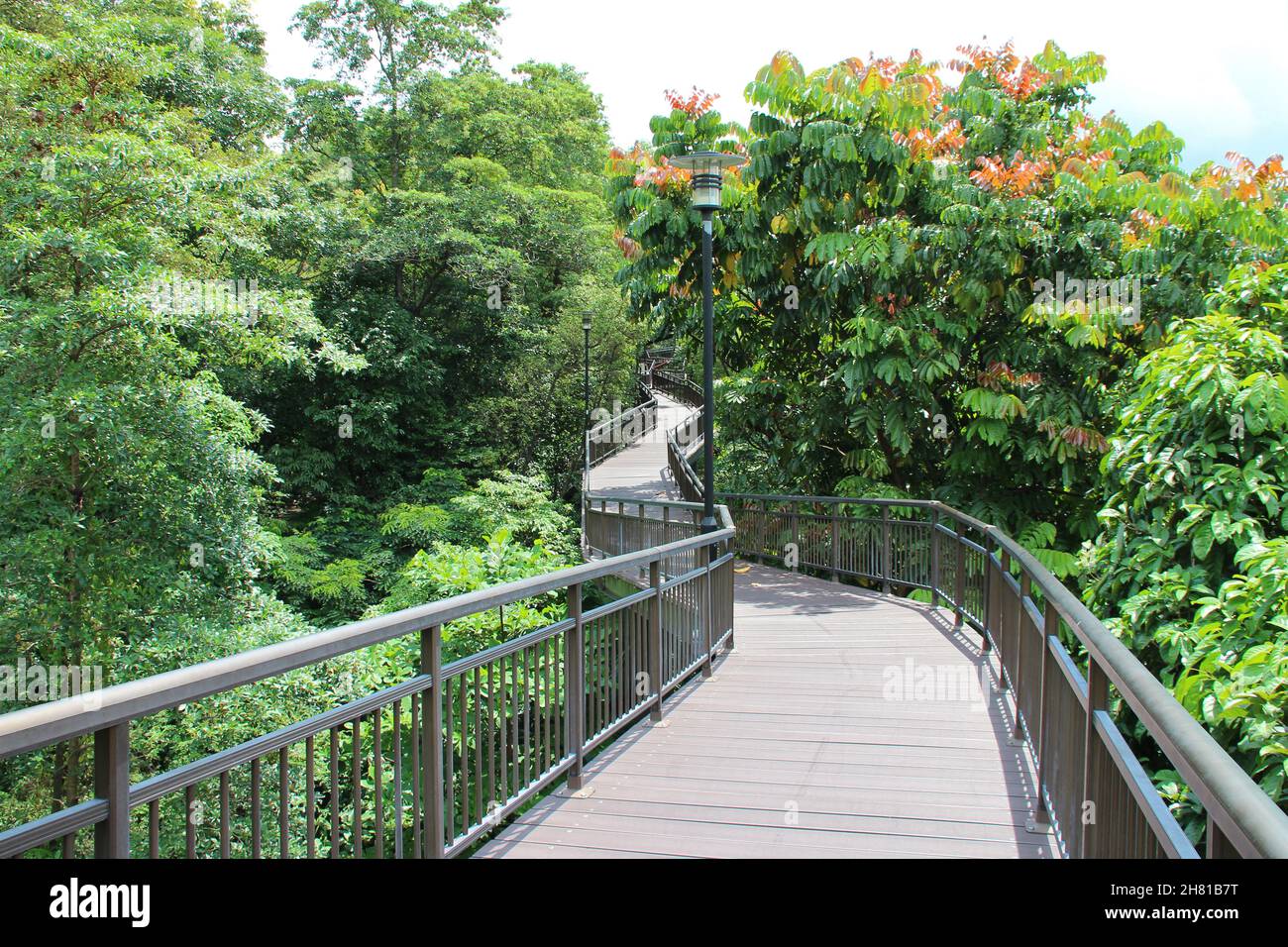 footbridge (canopy walk) at hort park in singapore Stock Photo - Alamy