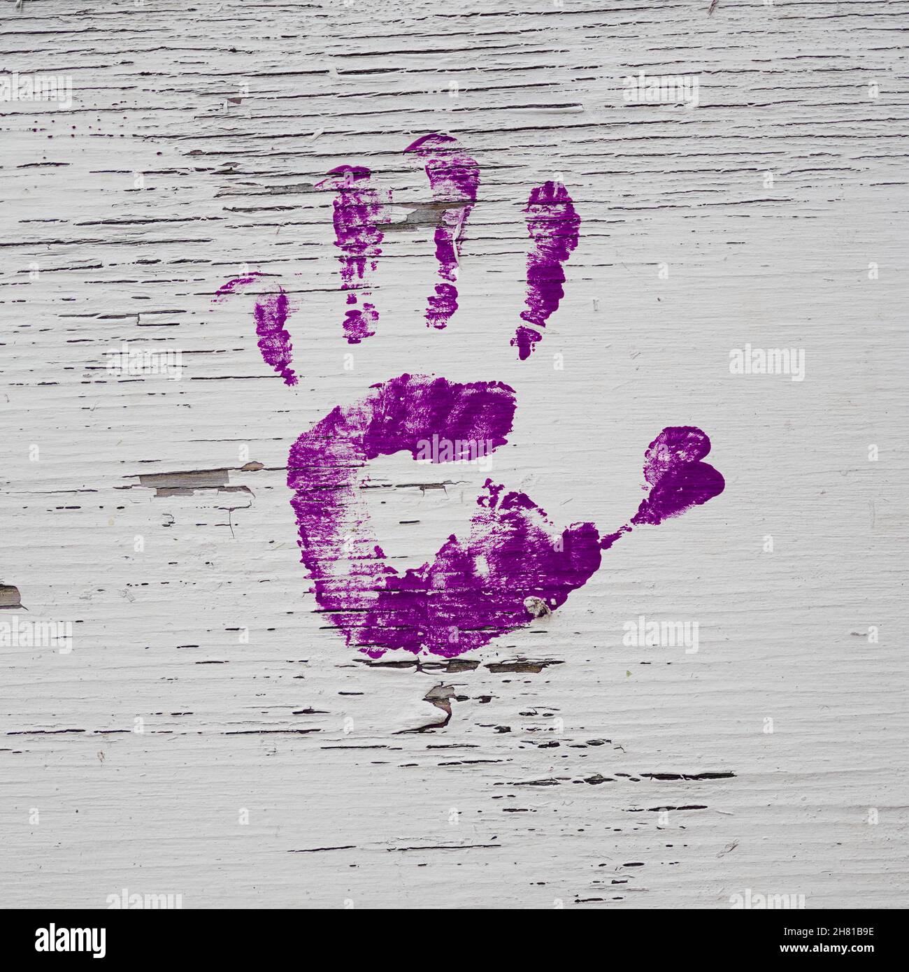 Close-up shot of a handprint from purple ink on a textured painted wall ...