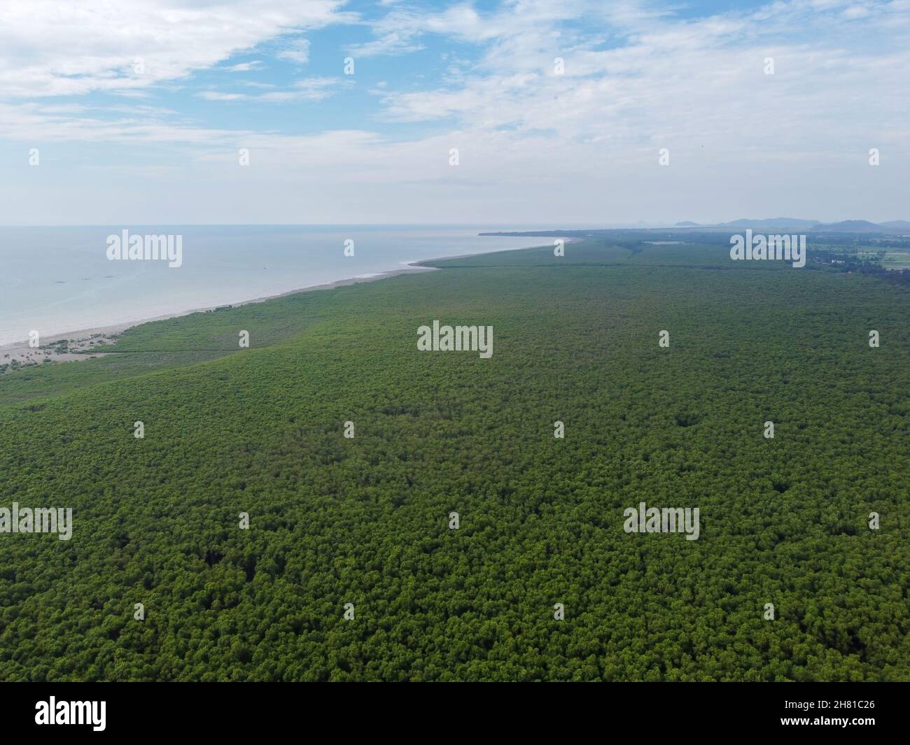 Aerial view of the mangrove swamp in Malaysia Stock Photo - Alamy