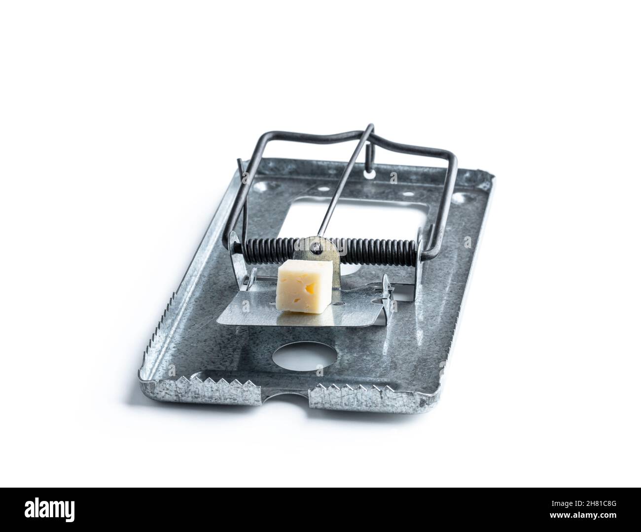 Steel mouse or rat trap with a piece of cheese bait isolated on white ...