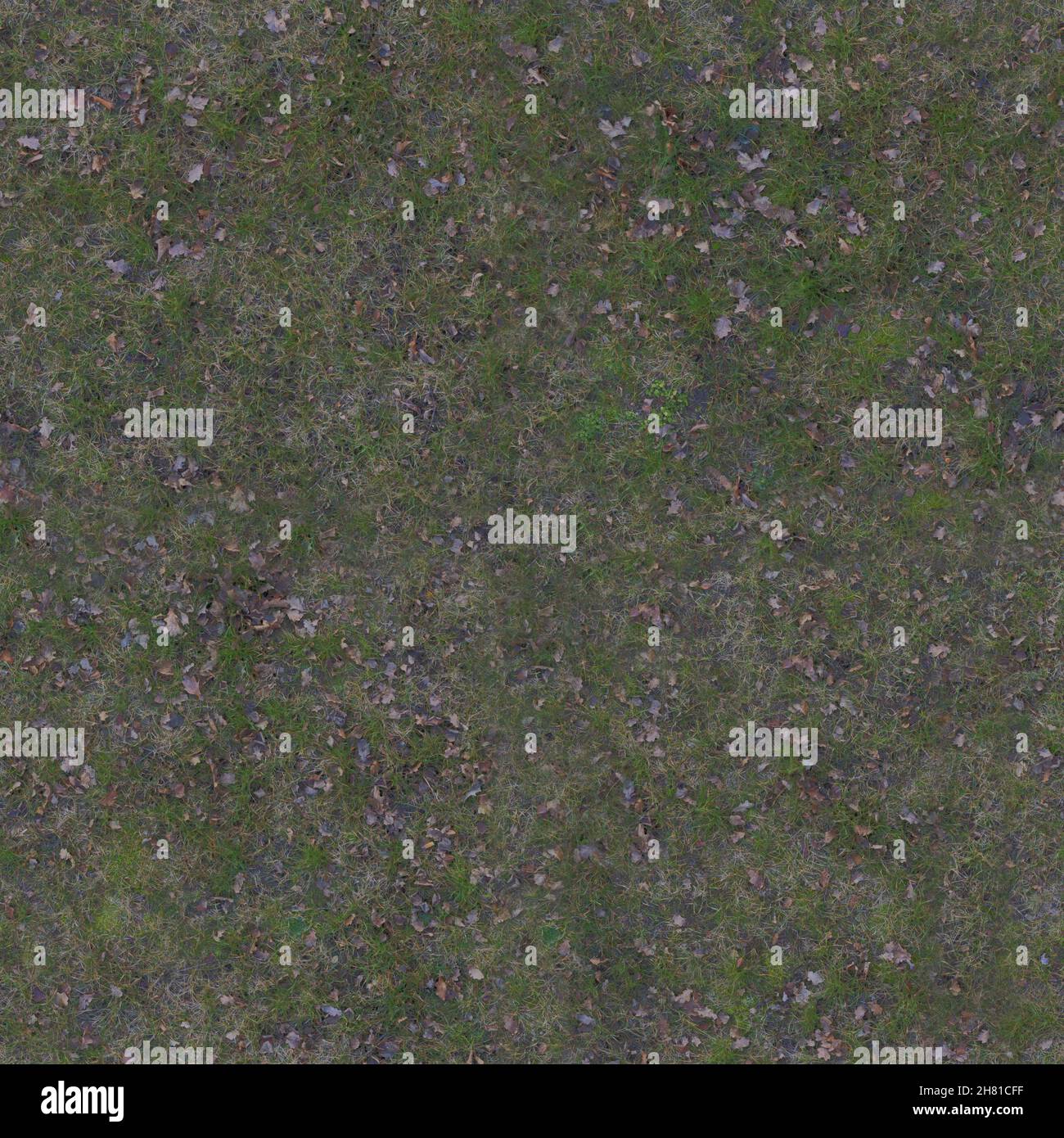 Grass texture 4k hi-res stock photography and images - Alamy