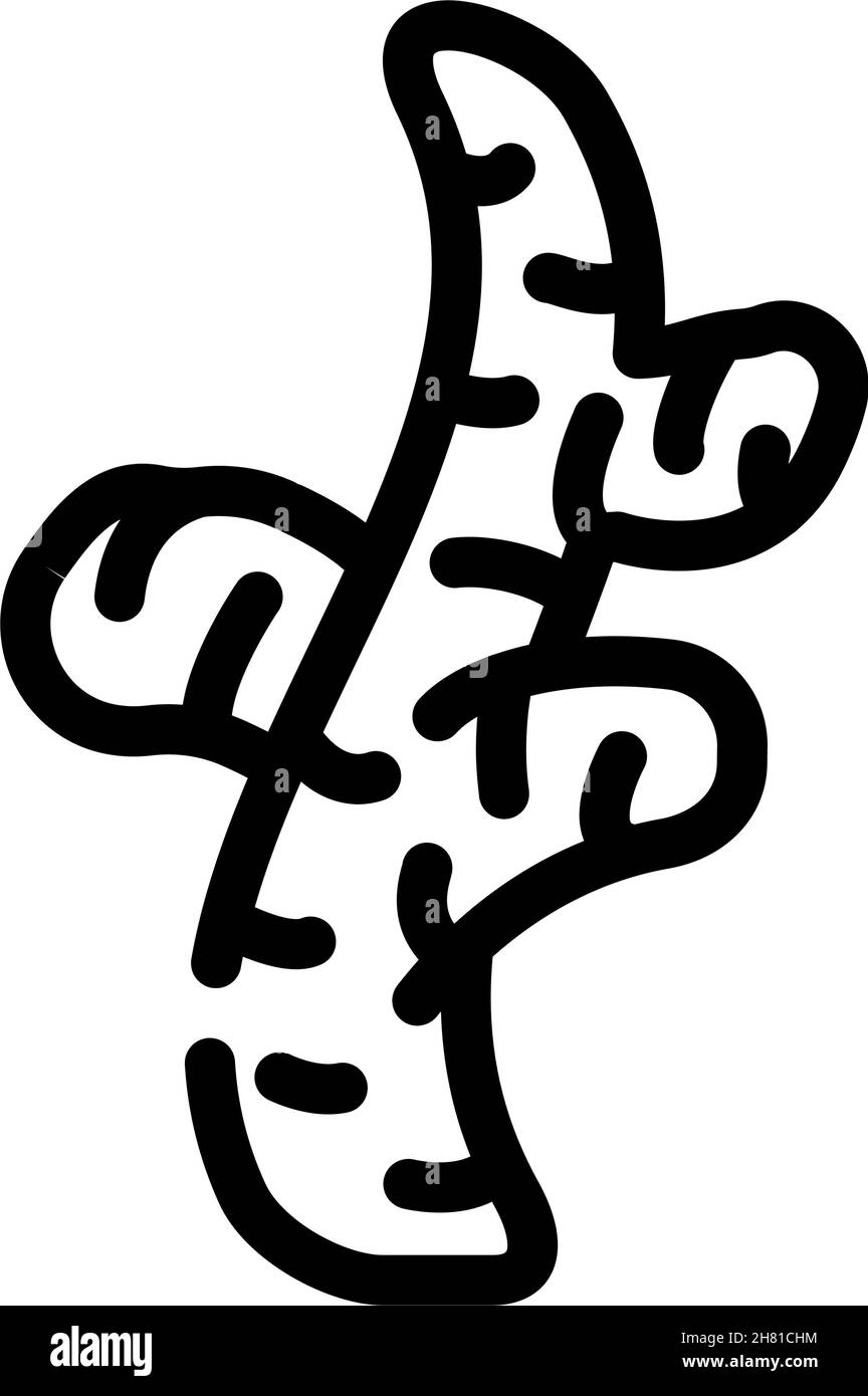 ginger vitamin food line icon vector illustration Stock Vector Image ...