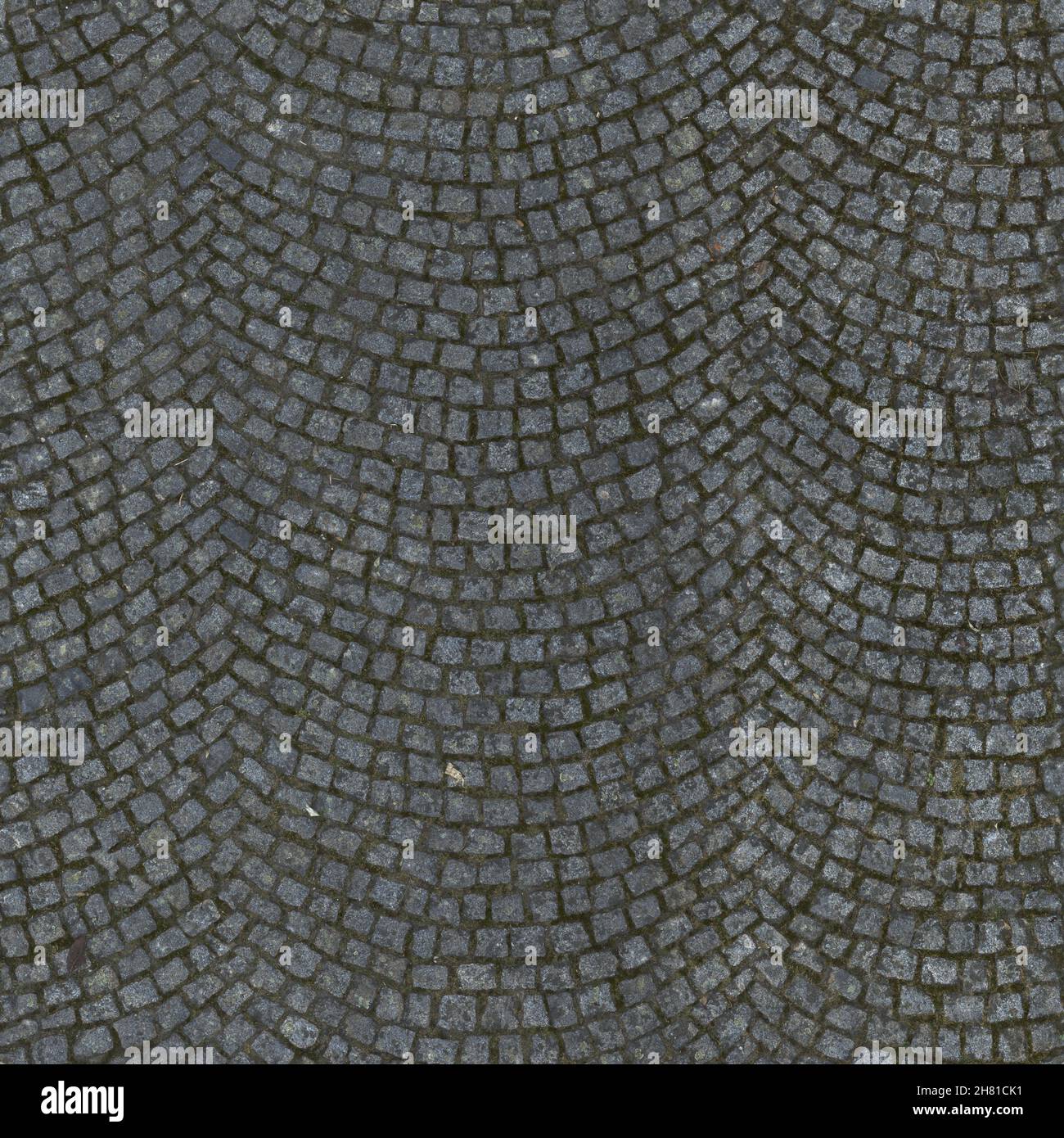 4x4 bridal hi-res stock photography and images - Alamy