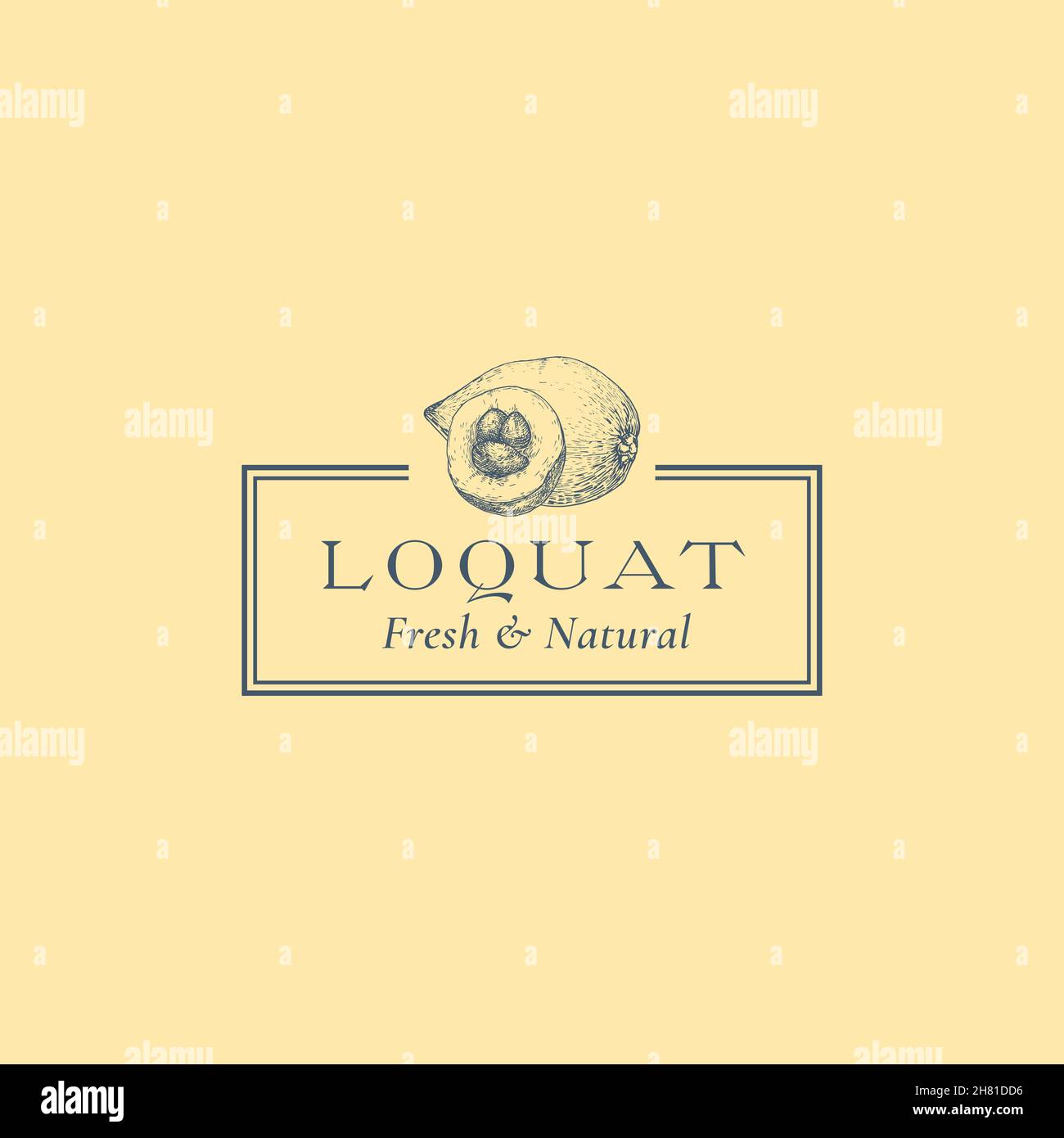 Loquat seed Stock Vector Images - Alamy