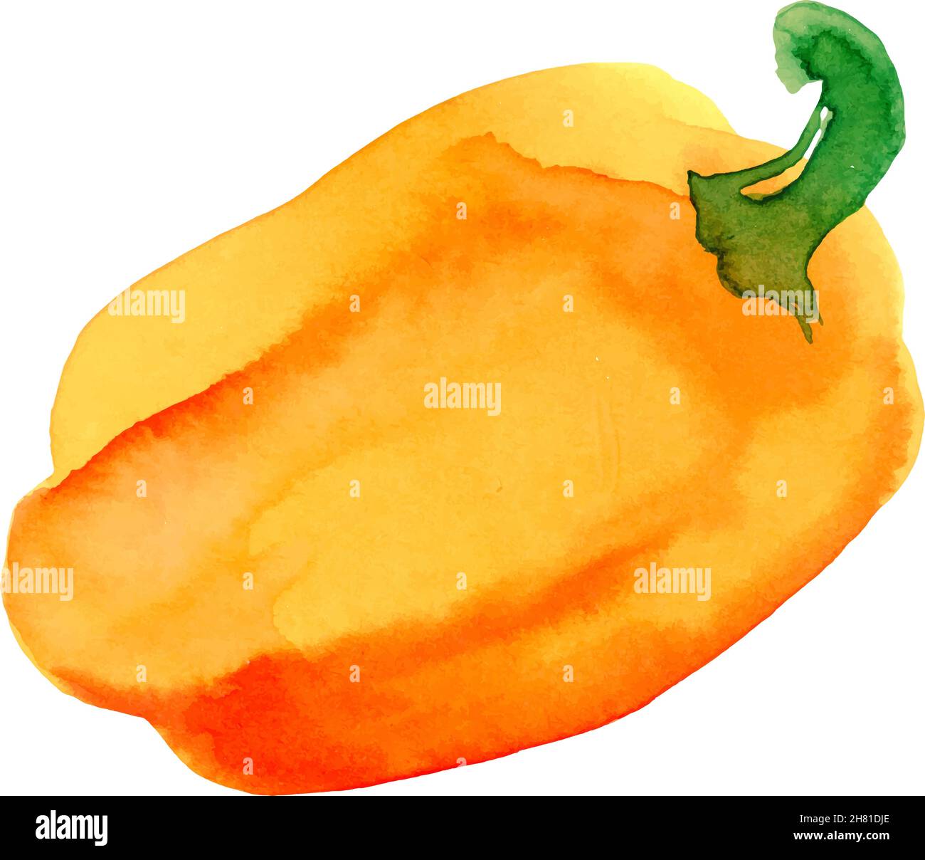 Yellow bell pepper. Hand drawn watercolor painting on white background ...