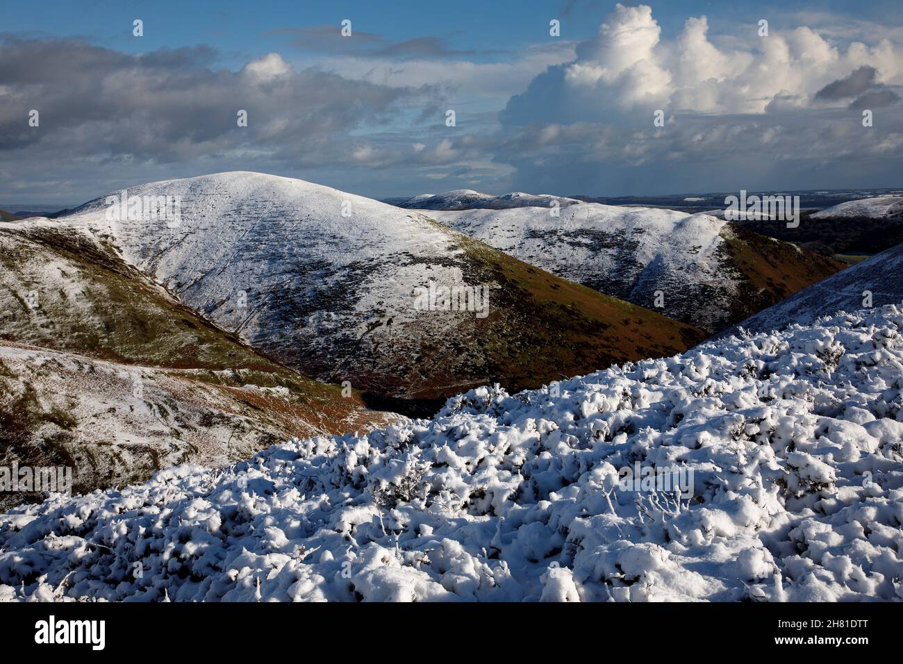 Long Mynd Shropshire UK Stock Photo - Alamy