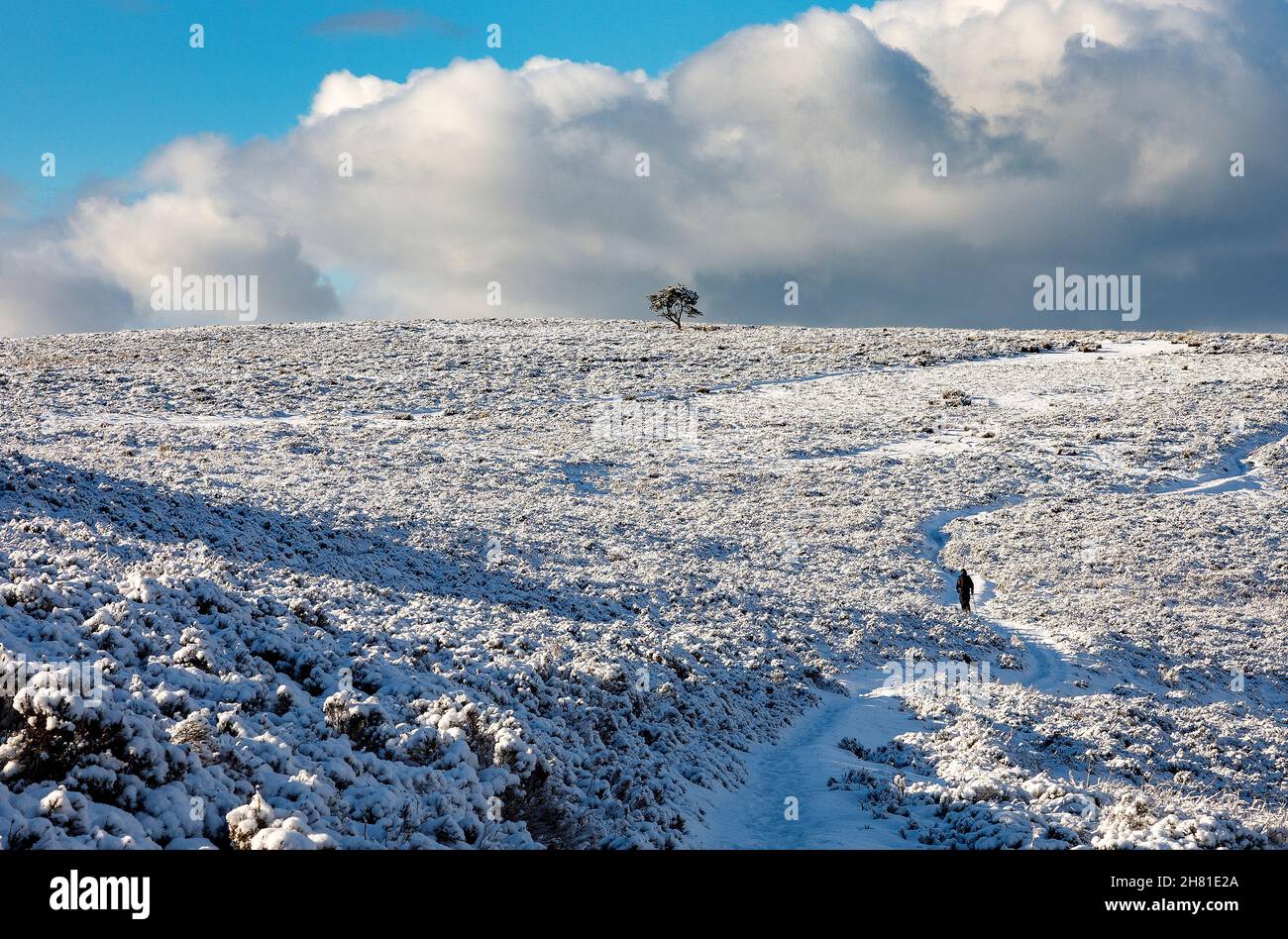 Long Mynd Shropshire UK Stock Photo - Alamy