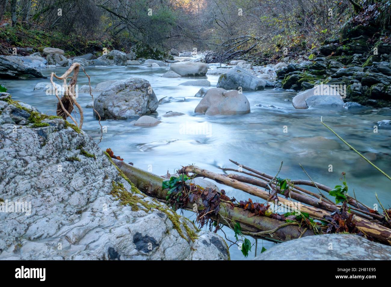The clear waters of the Rui stream, Mel, Belluno, Italy Stock Photo - Alamy