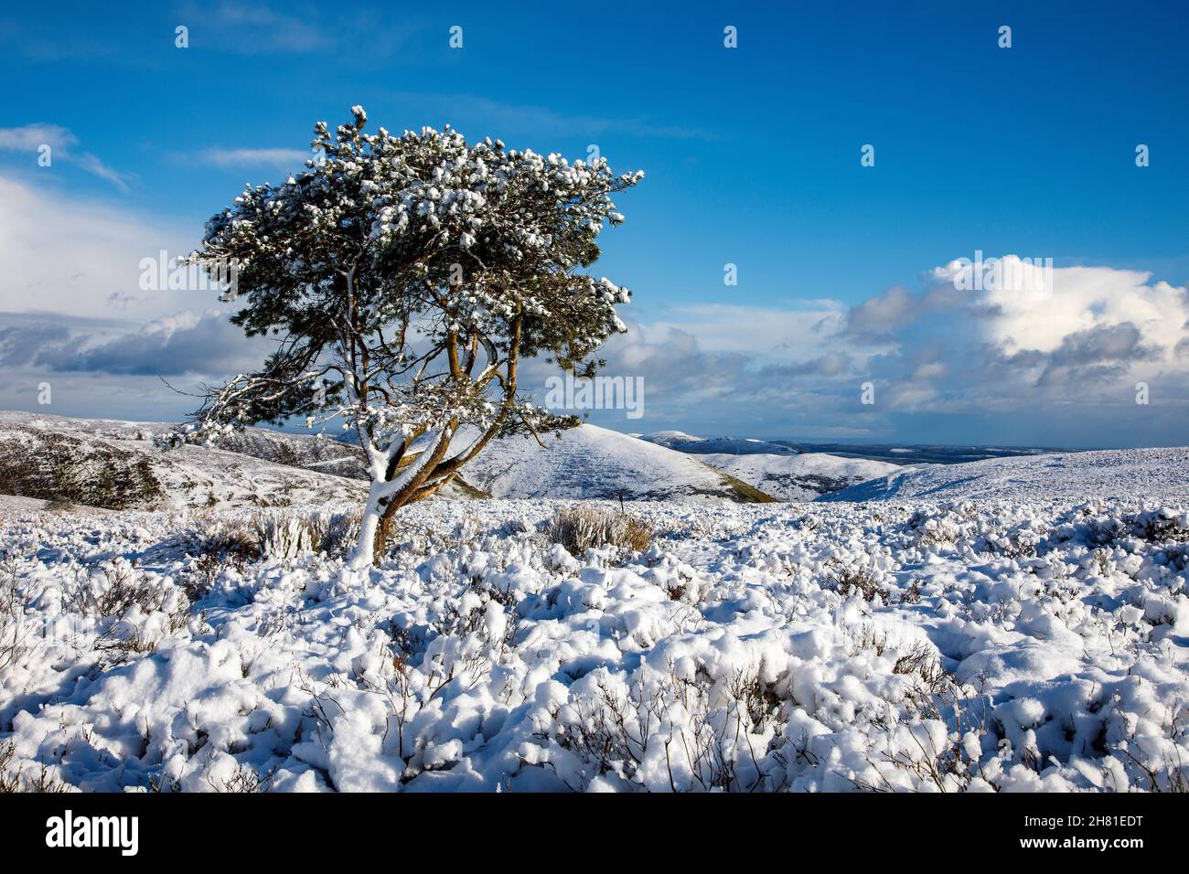 Long mynd shropshire hi-res stock photography and images - Alamy