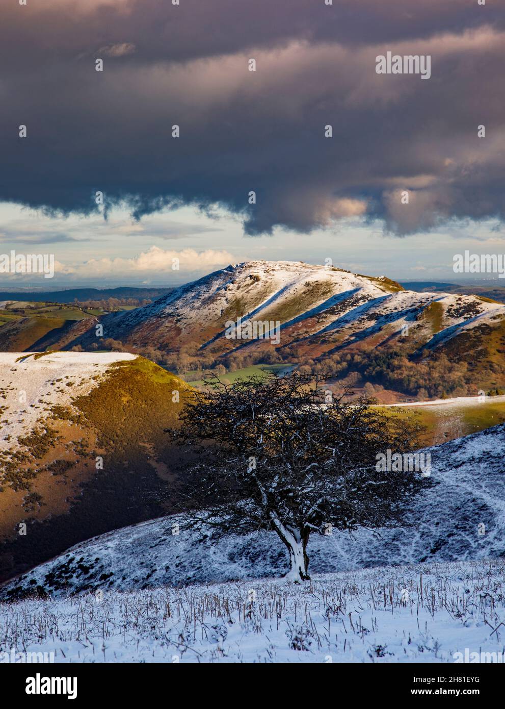 Long Mynd Shropshire UK Stock Photo - Alamy