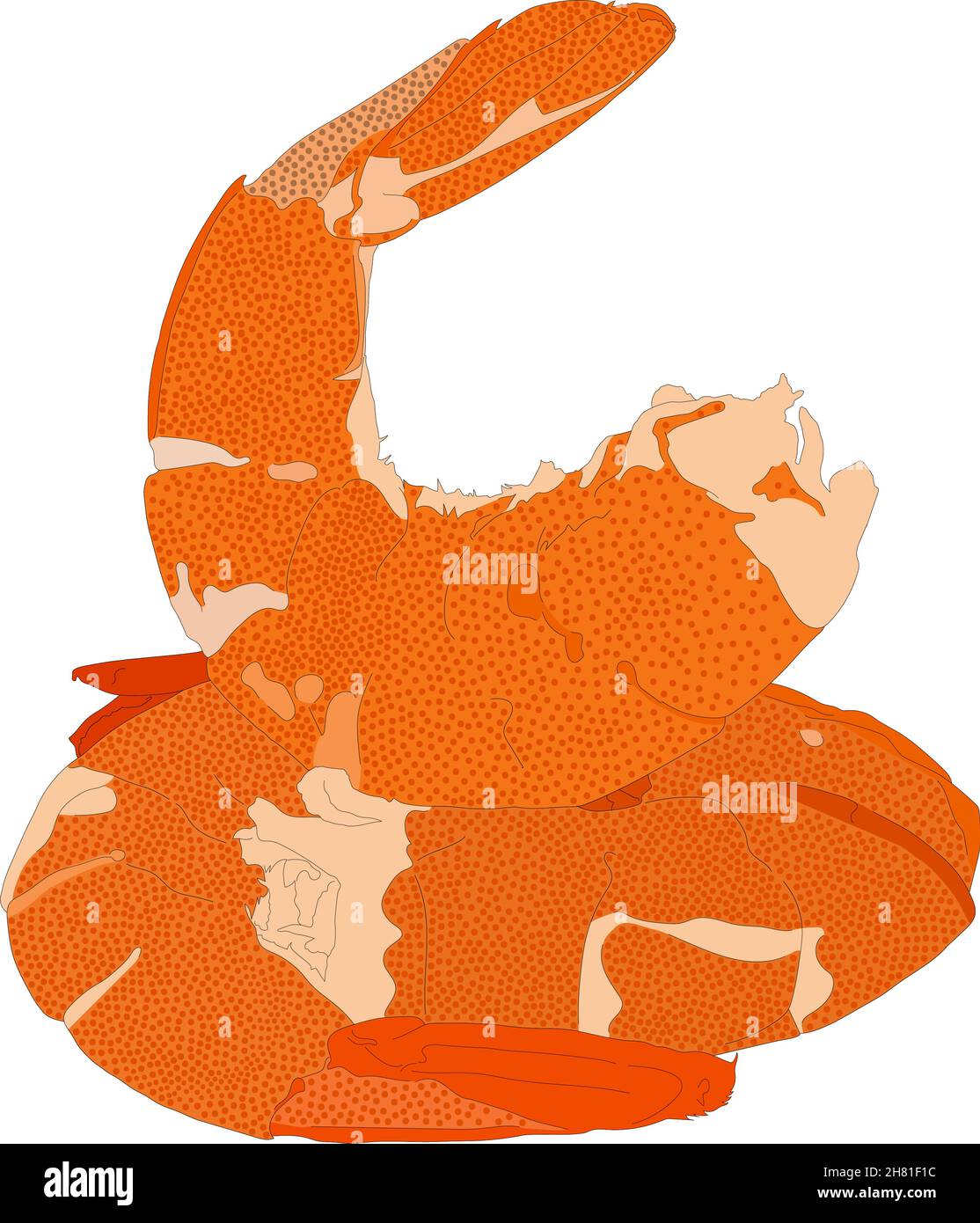 Pink shrimp. Cooked grilled seafood, tiger prawns, langoustines. Side ...