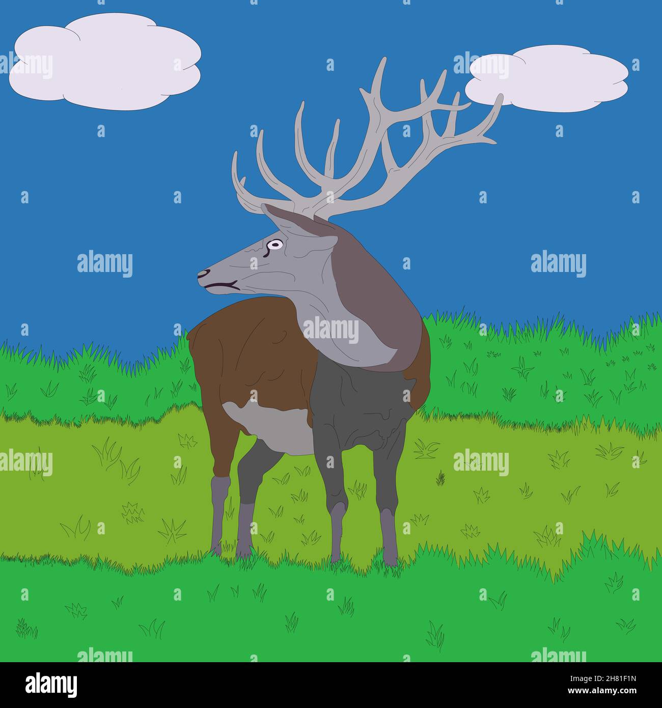 Adult stag illustration Stock Vector Images - Alamy