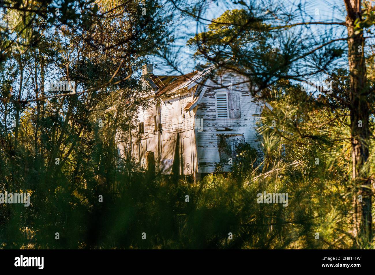 Old house in the woods hi-res stock photography and images - Alamy