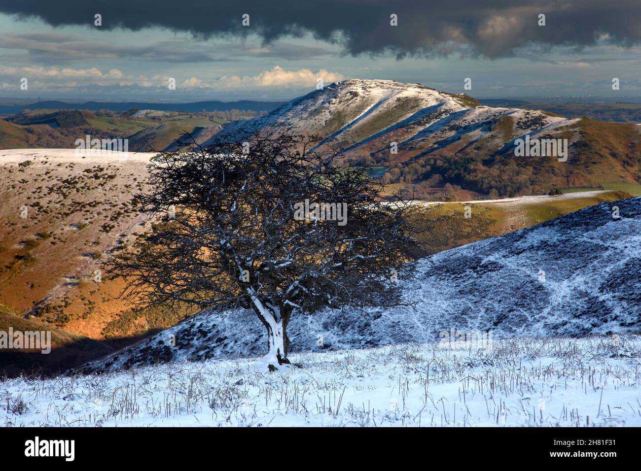 Long Mynd Shropshire UK Stock Photo - Alamy