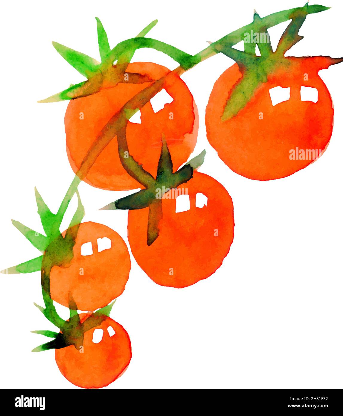 watercolor tomato vector. Red vegetables, natural food Stock Vector ...