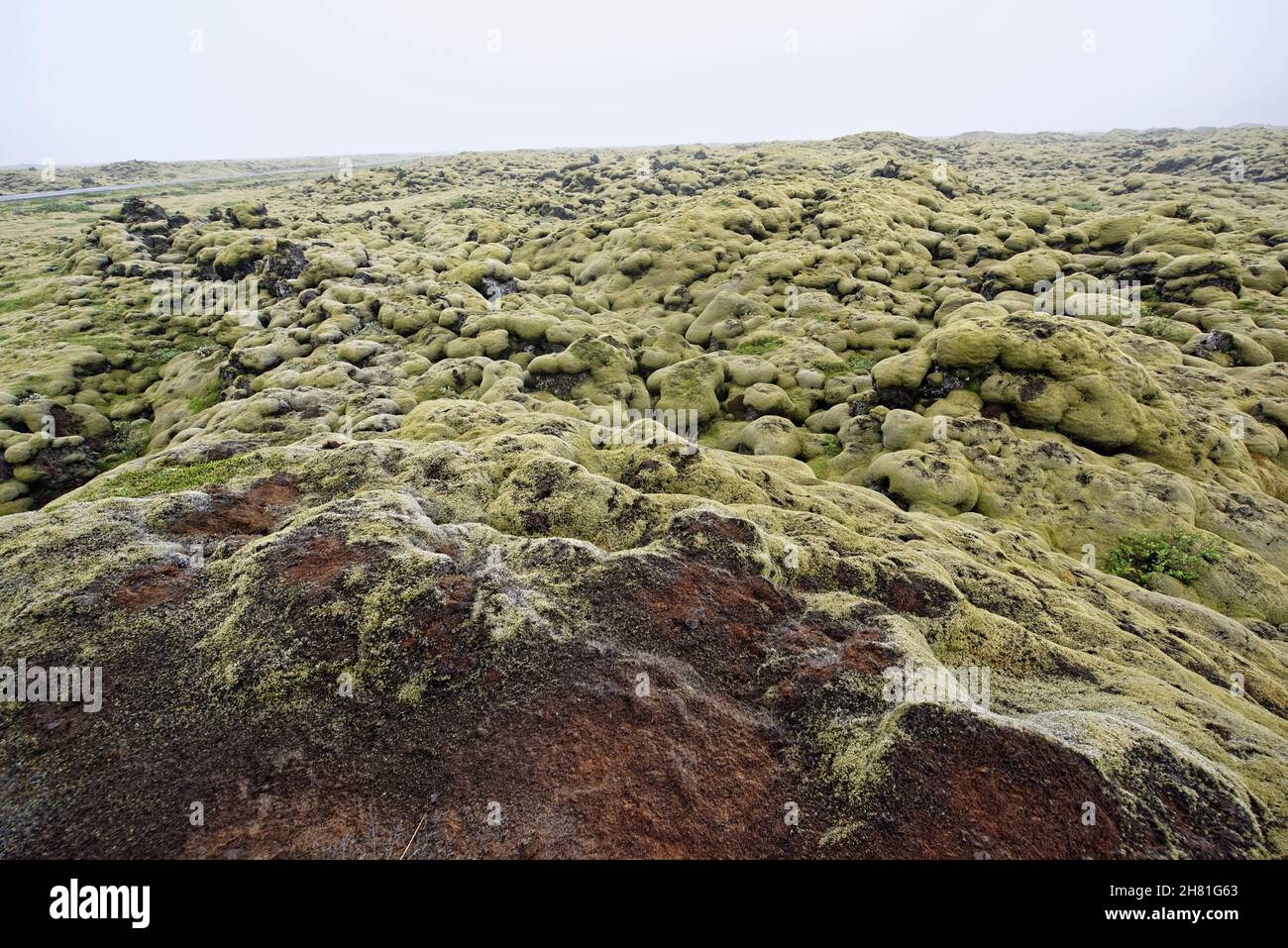 Bizarre lava formations surrounded by cotton grass, Skaelingar mountain ...