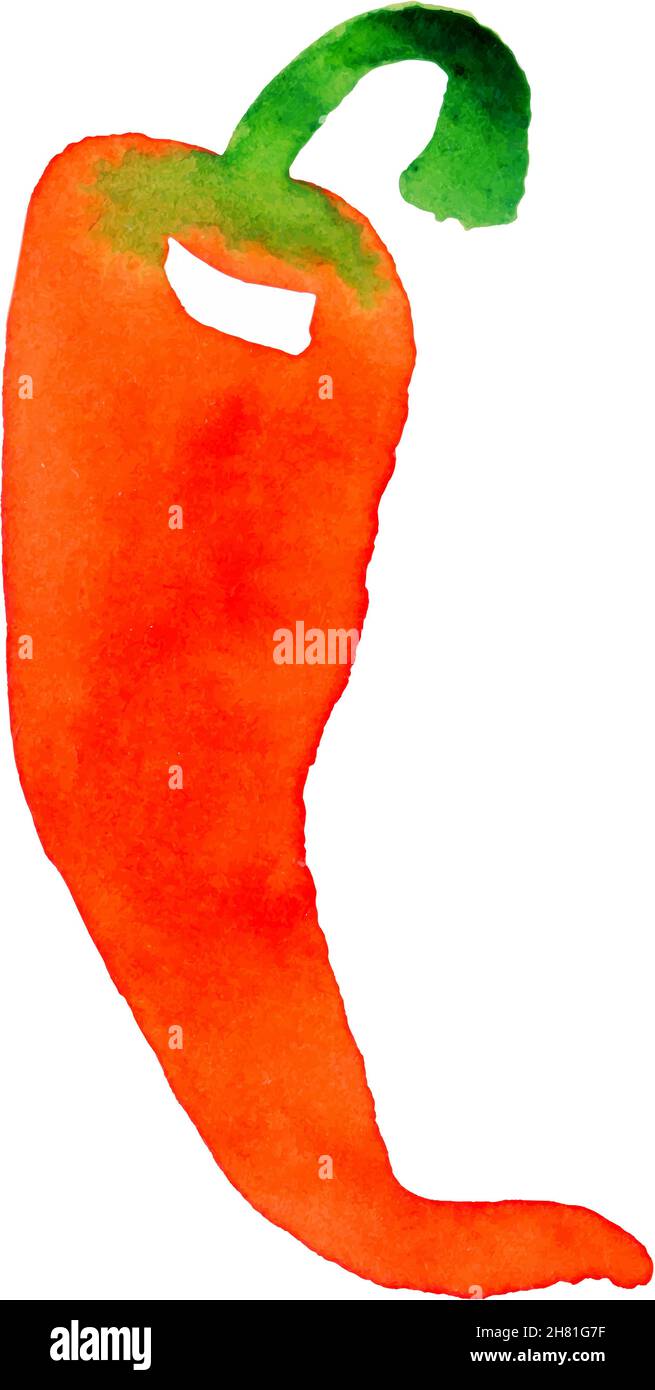 Watercolor painting of Hot red pepper, seasoning, food Stock Vector ...