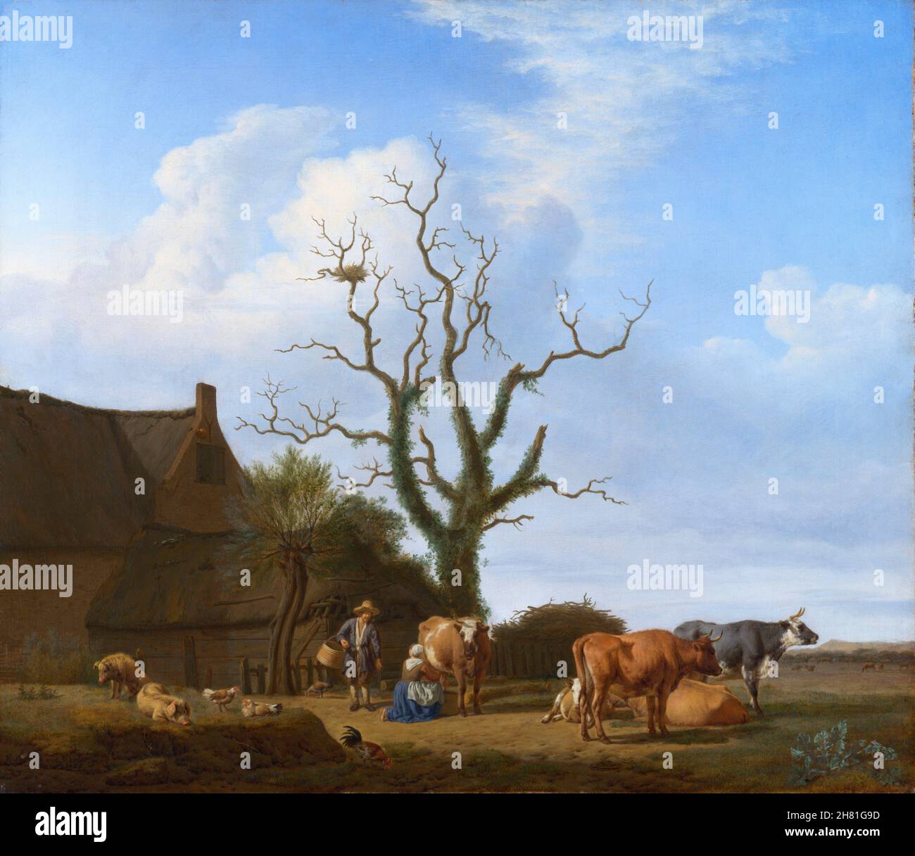 On a farm pigs cows hi-res stock photography and images - Alamy
