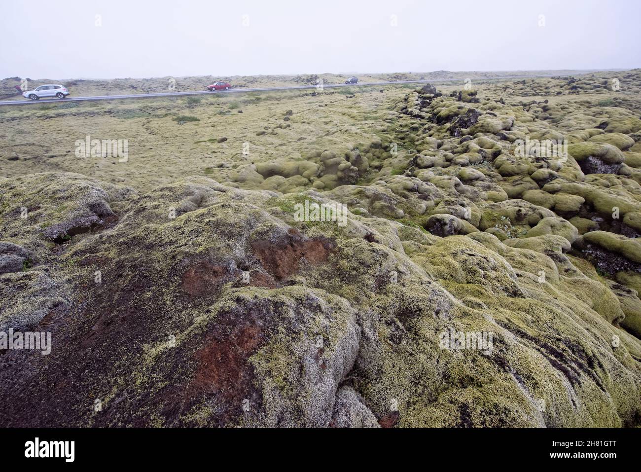 Bizarre lava formations surrounded by cotton grass, Skaelingar mountain ...