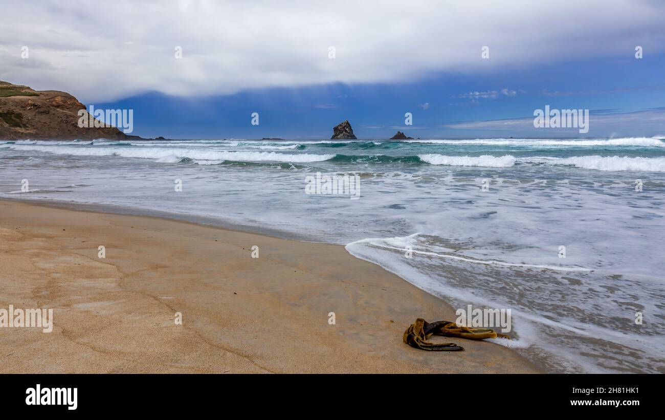 Sandfly bay lagoon hi-res stock photography and images - Alamy