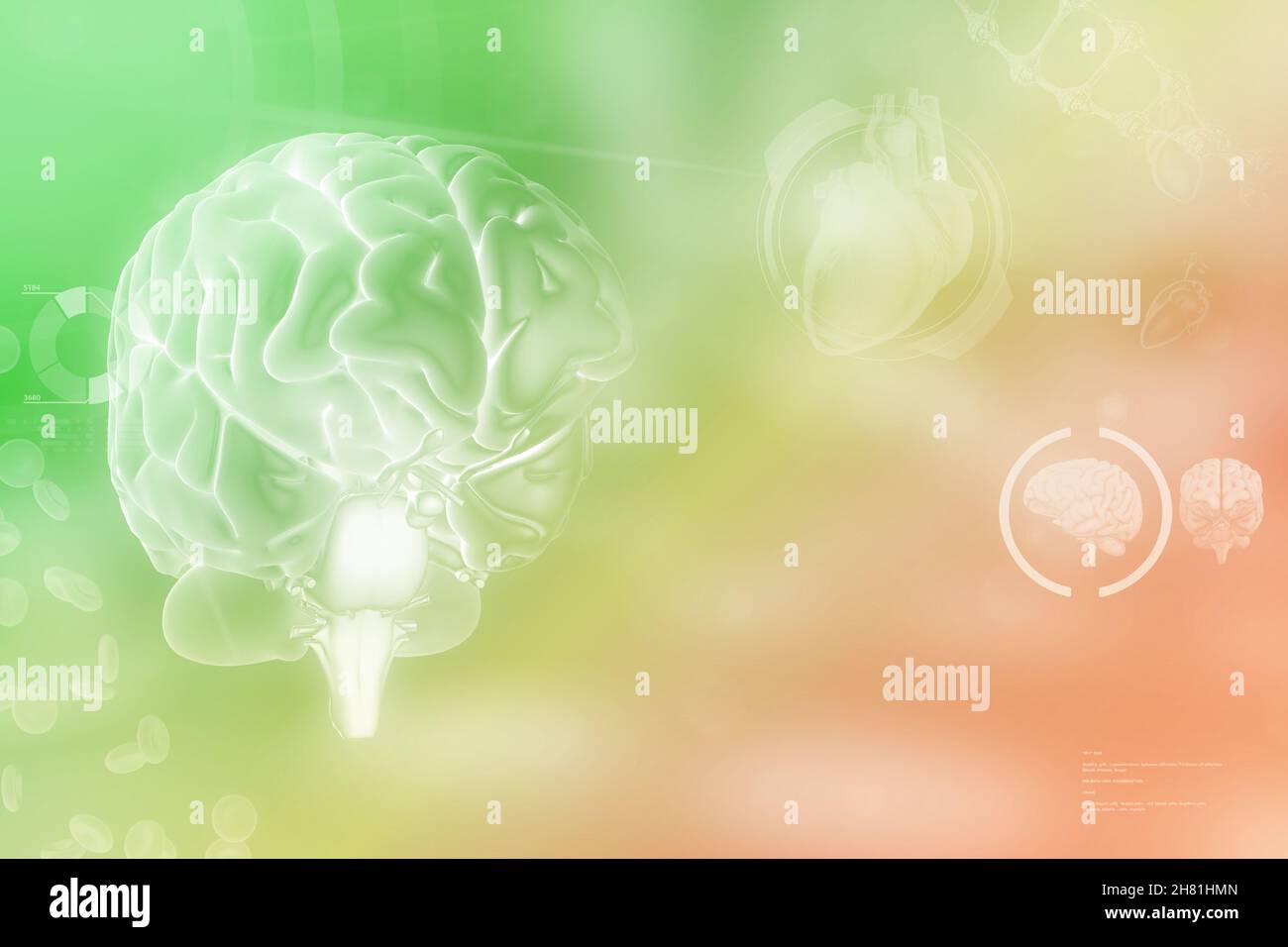 Medical 3D illustration - human brain, mental study concept - detailed ...