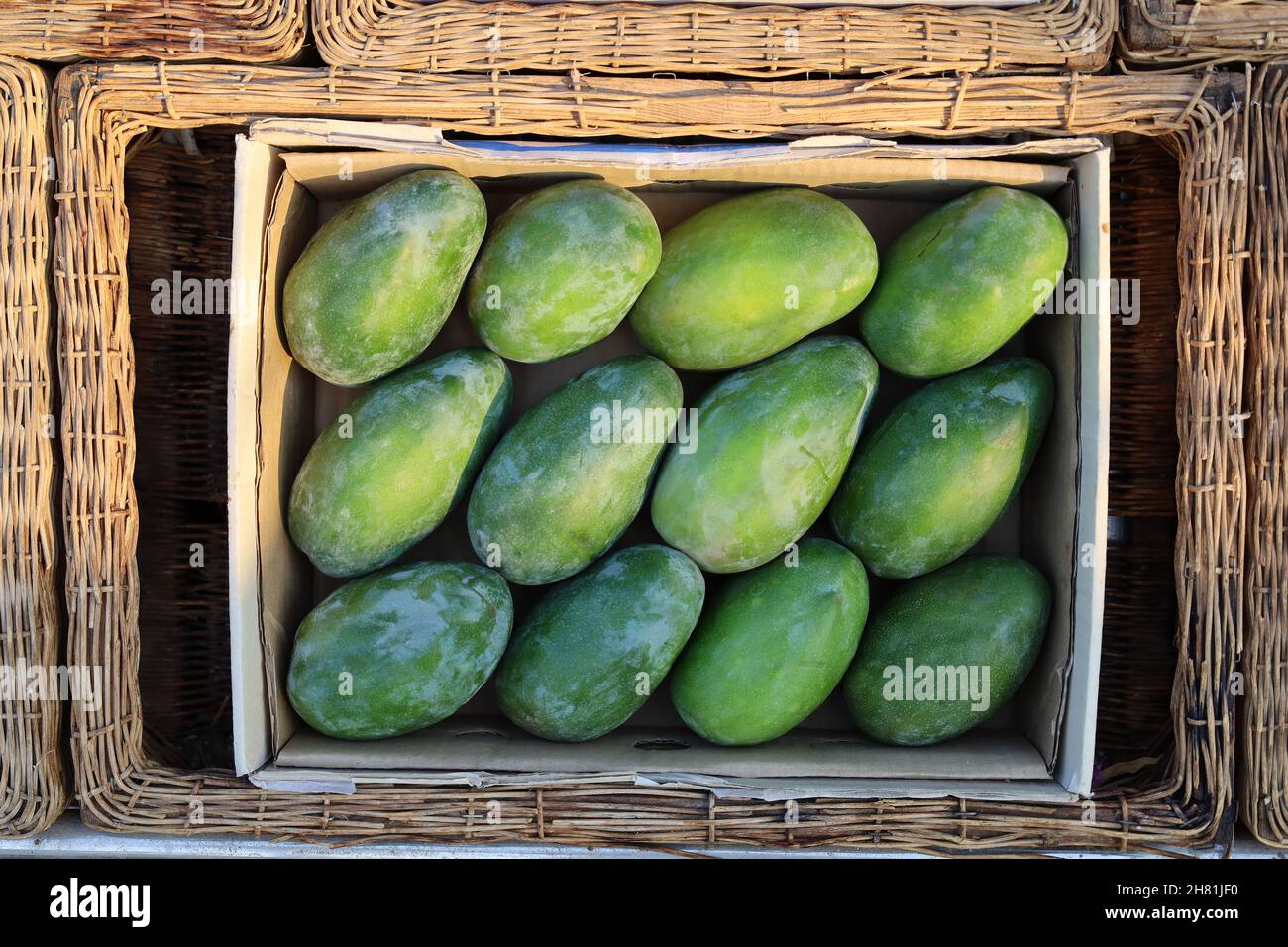Egyptian farmers harvest hi-res stock photography and images - Alamy