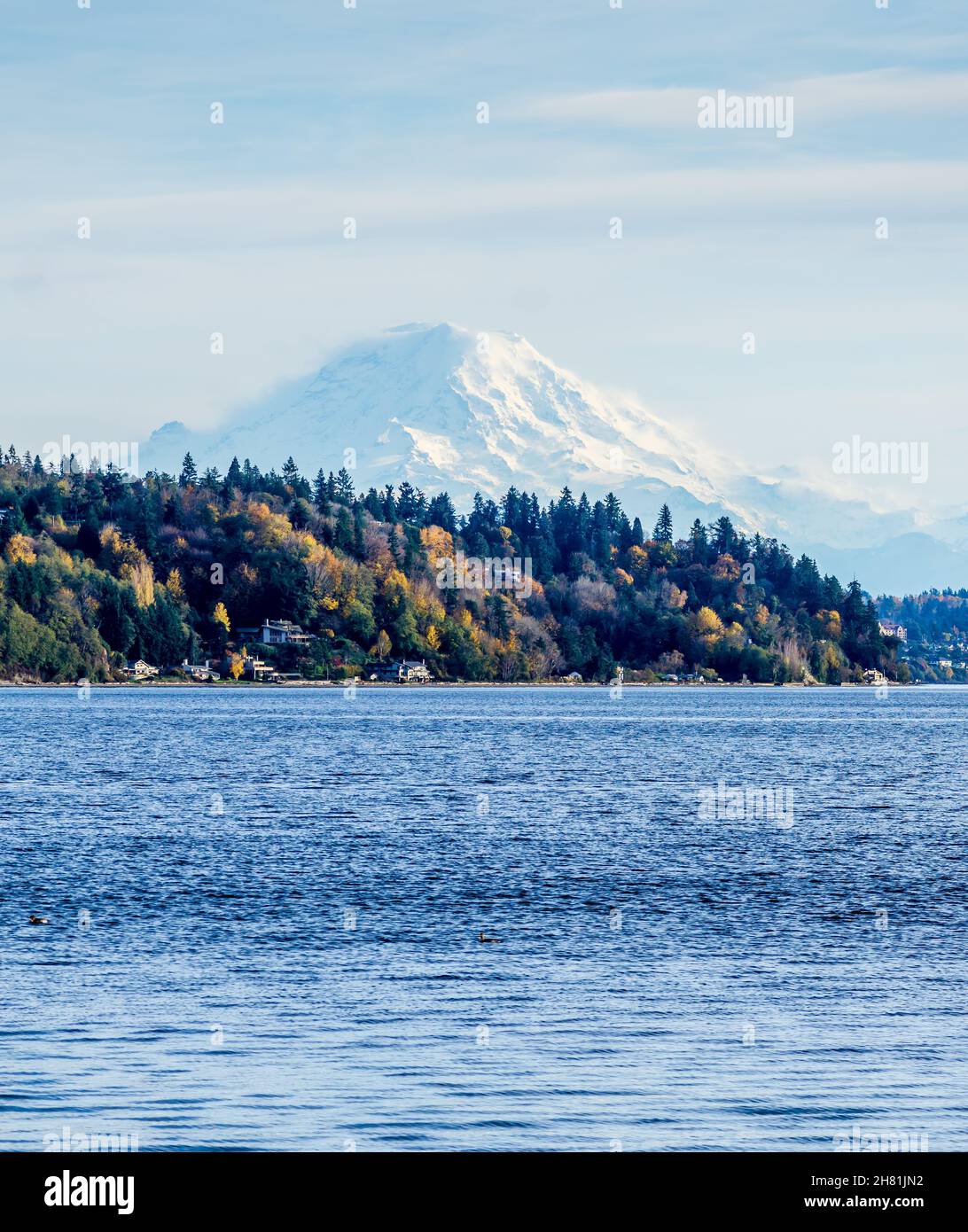 A view of Mount Rainier across the Puget Sound Stock Photo - Alamy