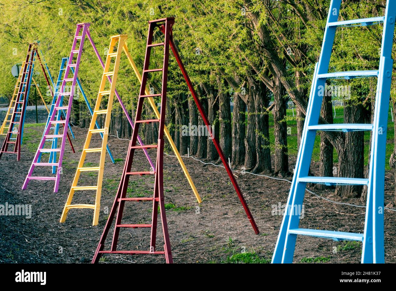 Tall ladders hi-res stock photography and images - Alamy