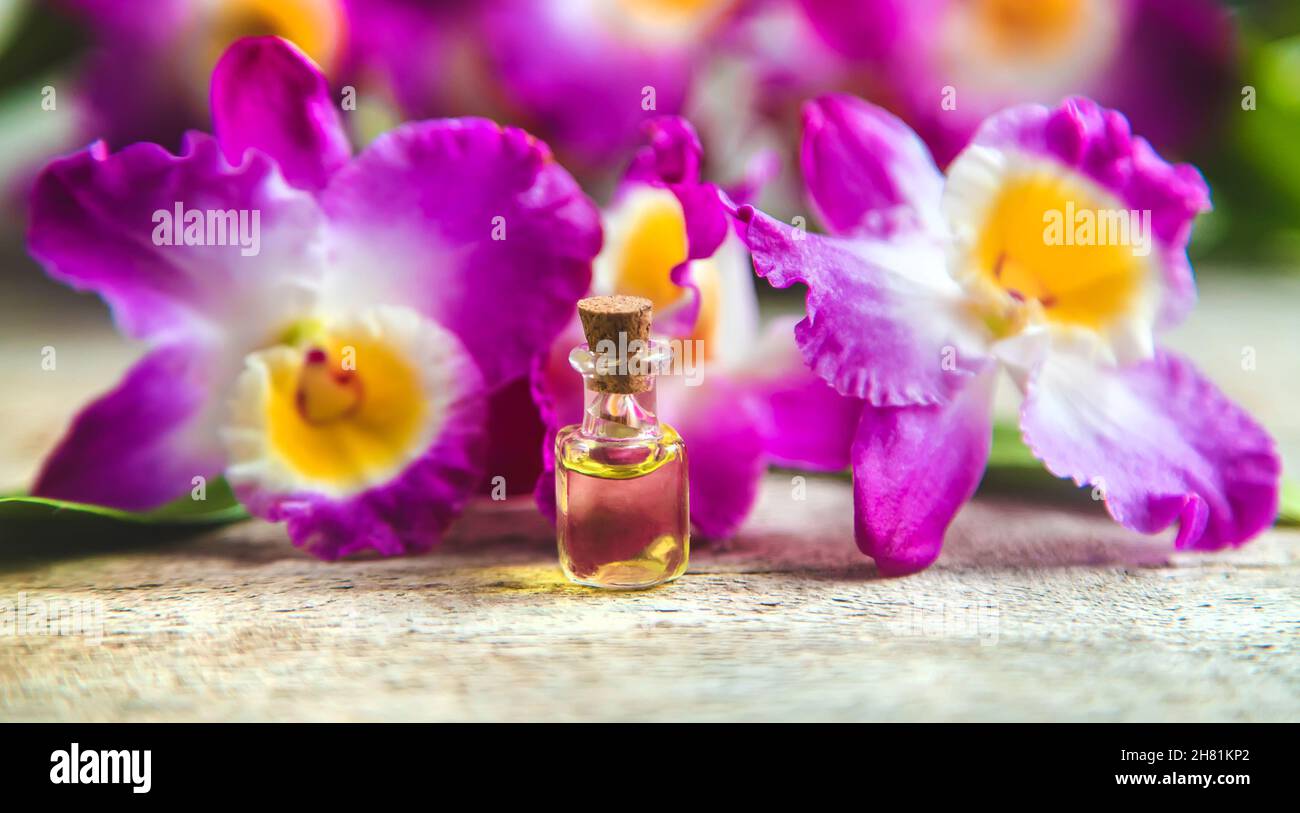 Orchid essential oil in a small bottle. Selective focus. Nature Stock ...