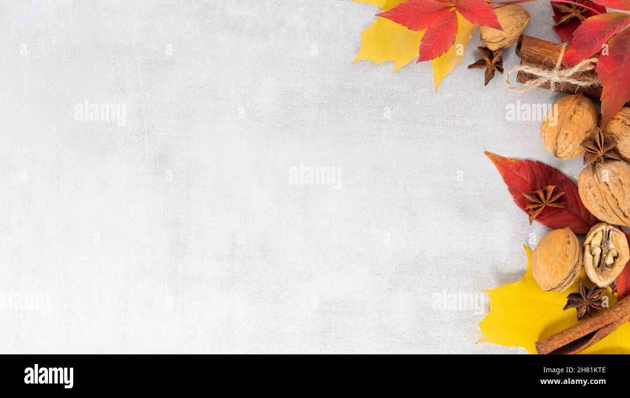 autumn background. Autumn leaves, walnuts and cinnamon sticks with copy ...