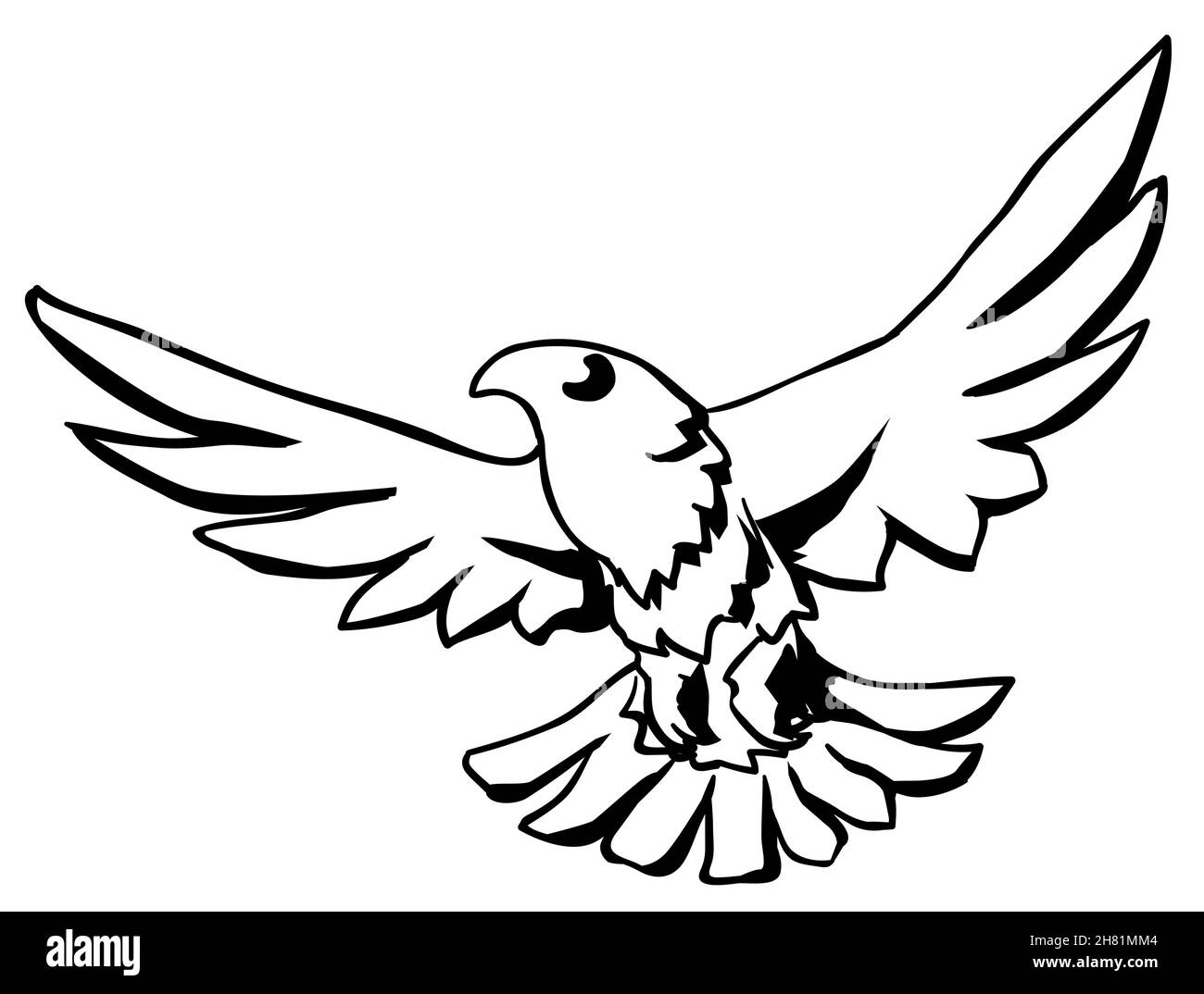 Predatory Birds Clip Art