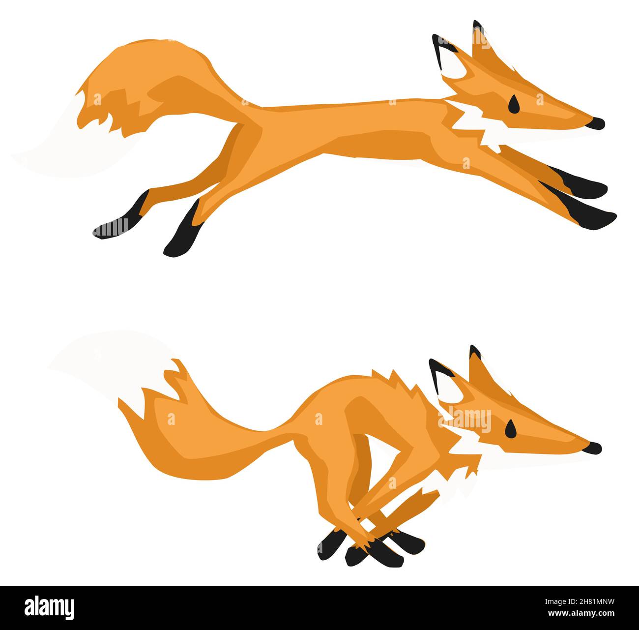 Fox running long stretch jump two movement poses cartoon design element ...