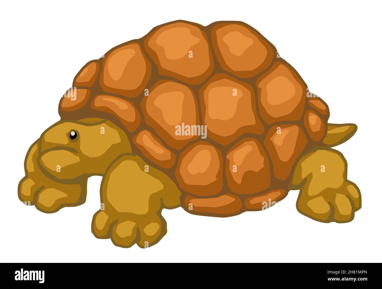 Tortoise giant cartoon color vector illustration, horizontal, over ...