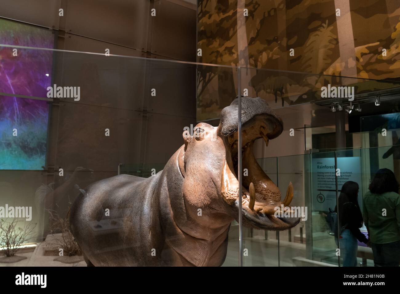 Hippo replica hi-res stock photography and images - Alamy