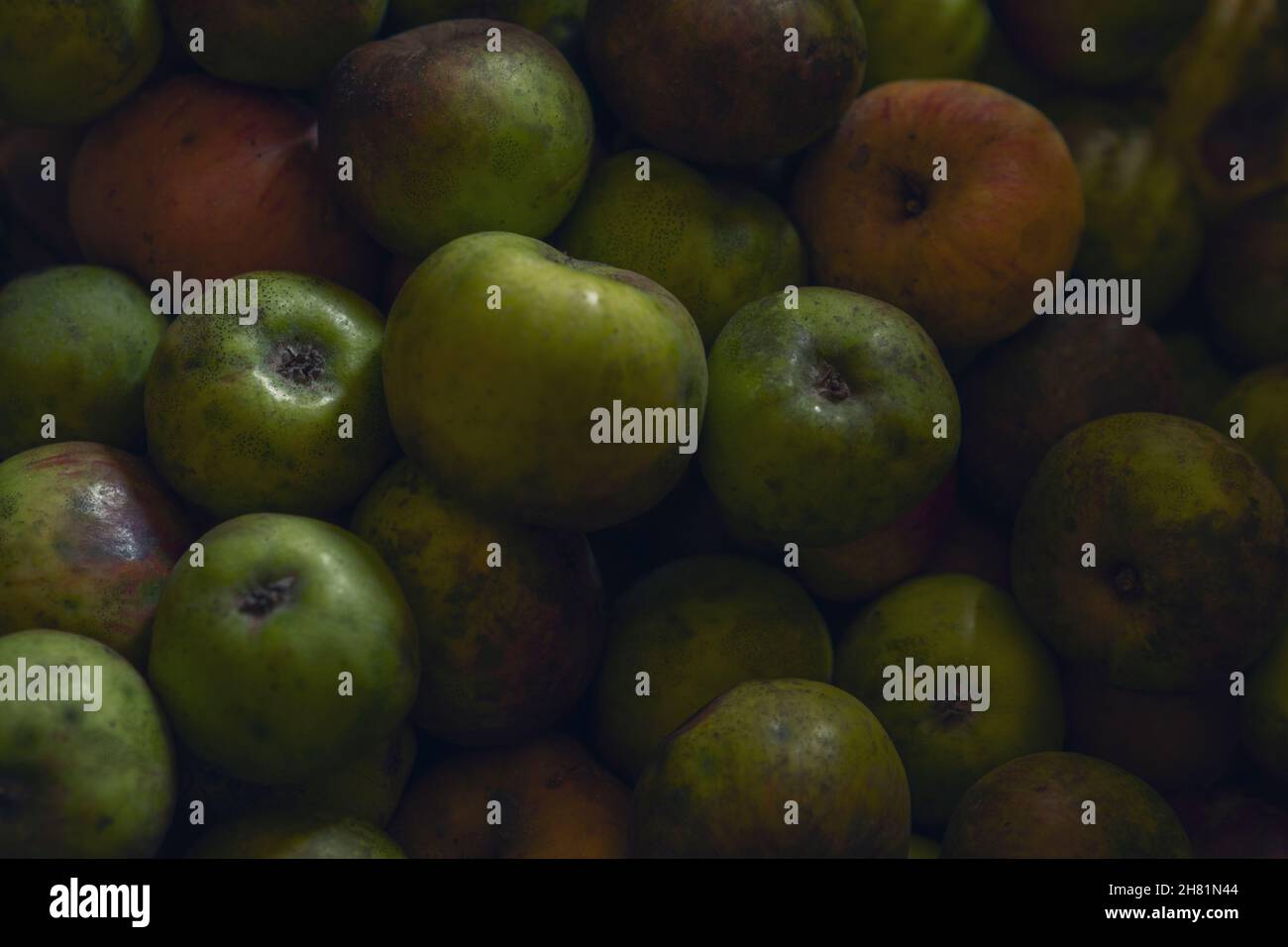 Apples with natural light Stock Photo - Alamy