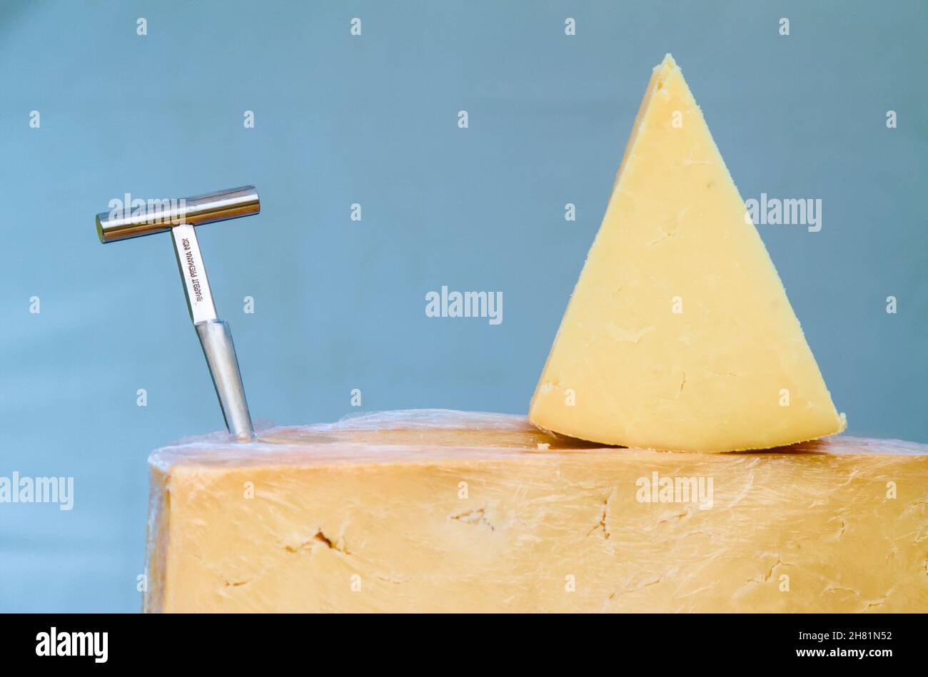 Cheese Trier, Corer Stuck In A Cheddar Cheese Round With A Trinagular ...