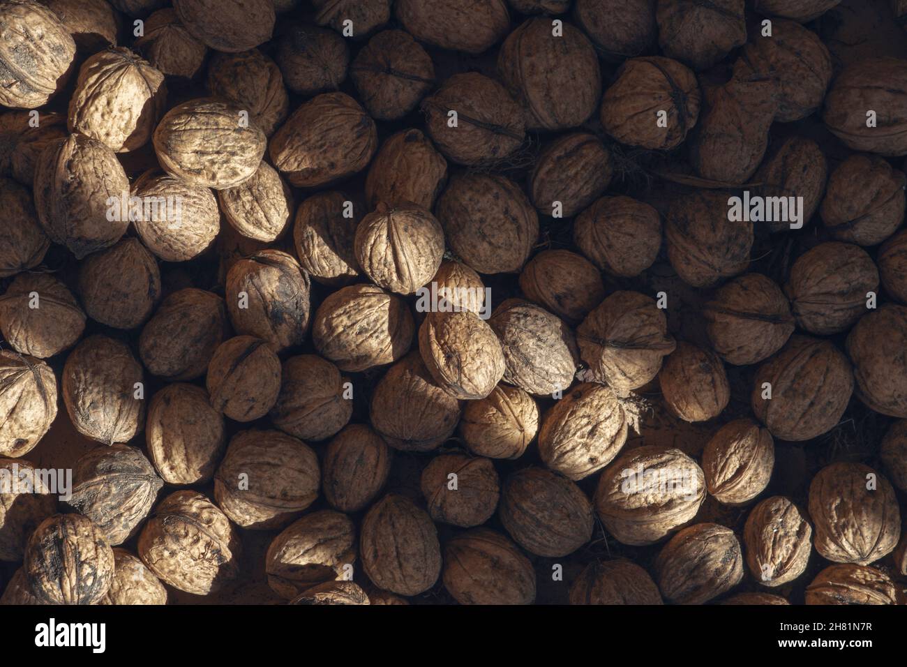 Walnuts with natural light Stock Photo - Alamy