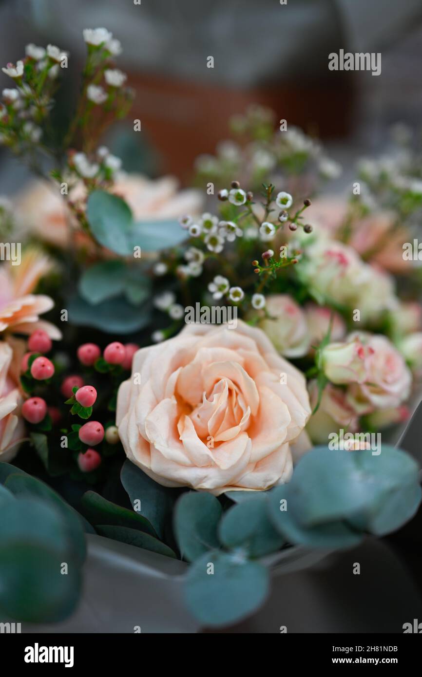 Autumn Flowers and leaves Stock Photo - Alamy