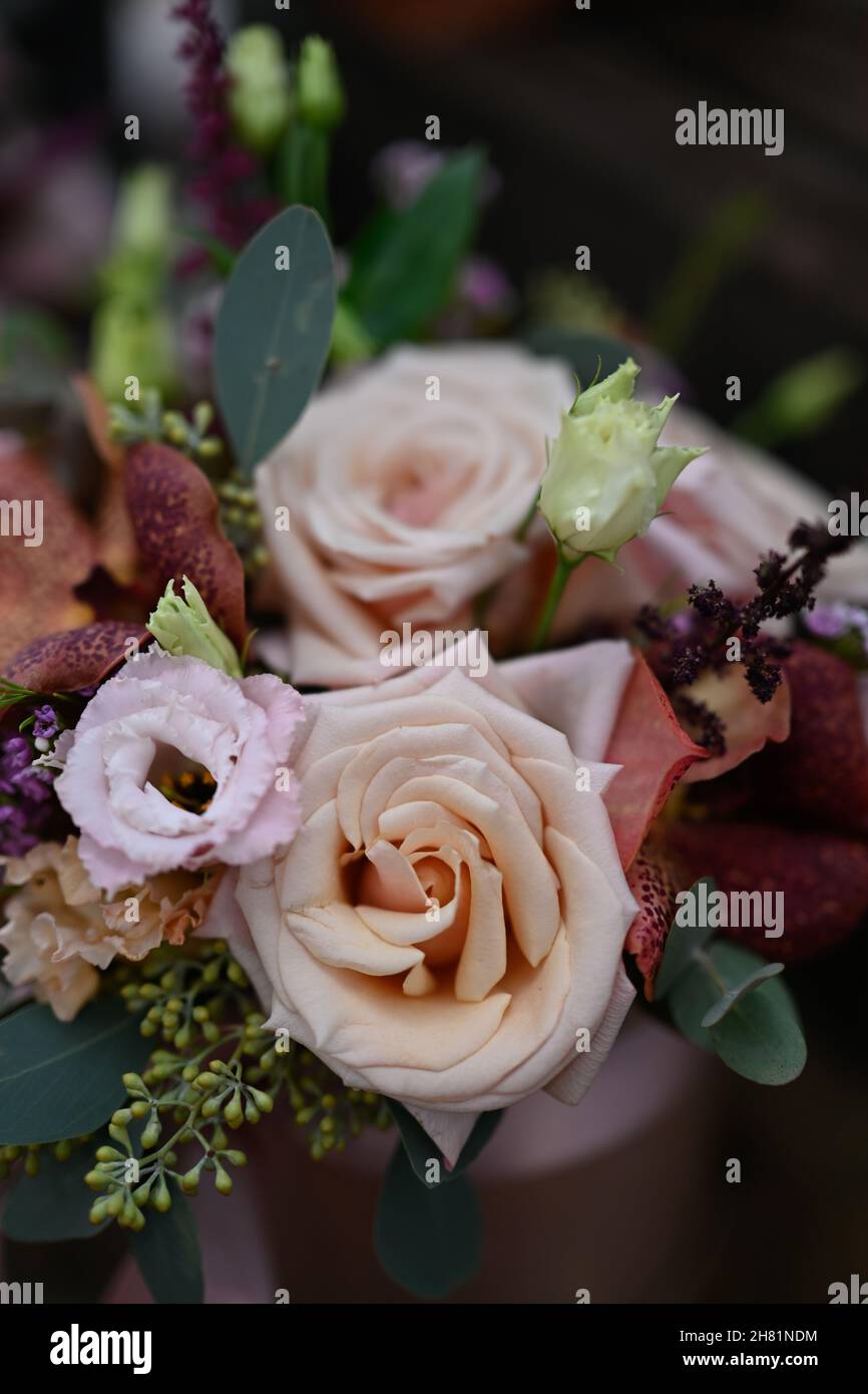 Autumn Flowers and leaves Stock Photo - Alamy