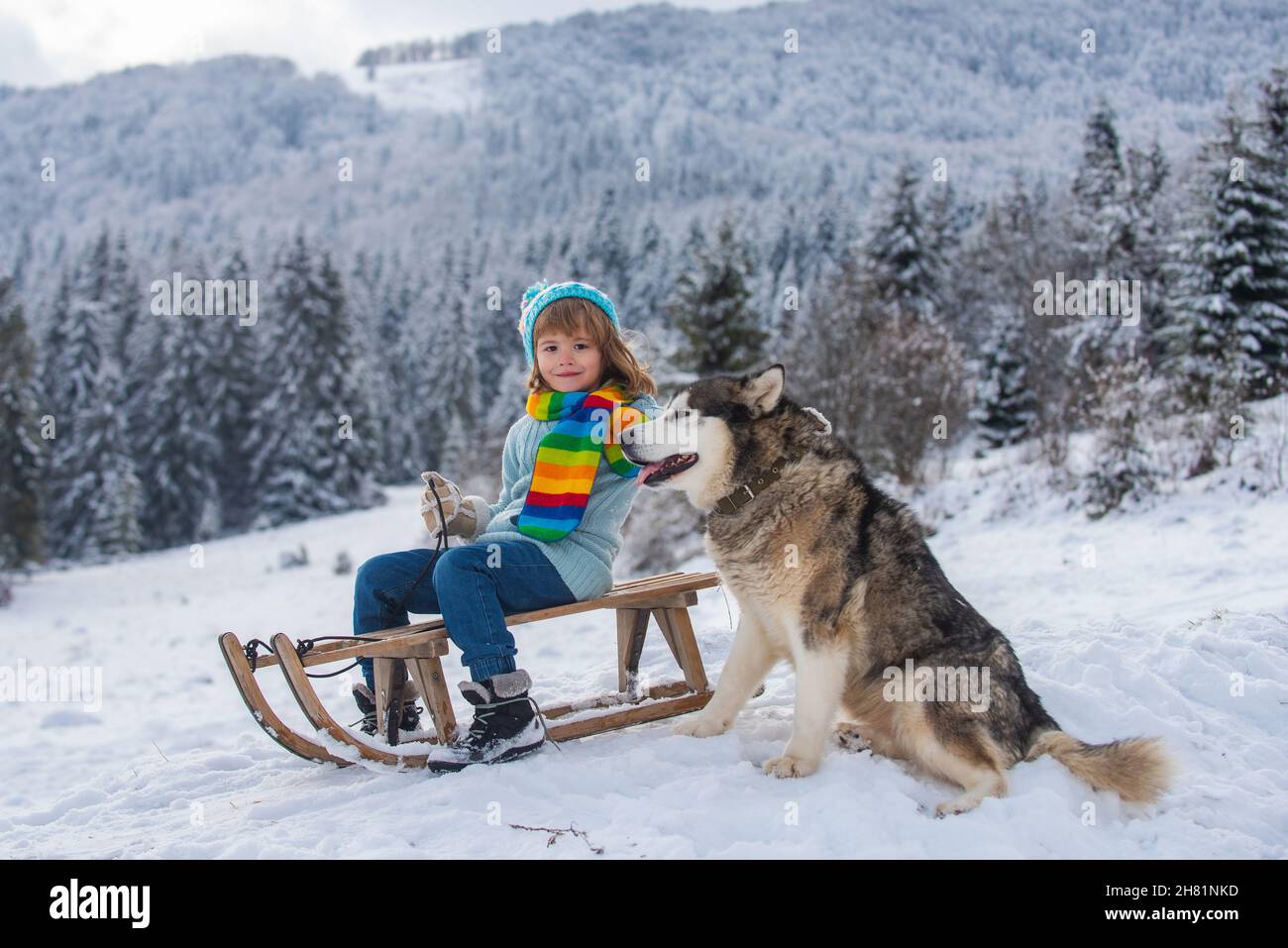 Funny boy with dog having fun with a sleigh in winter. Children with ...