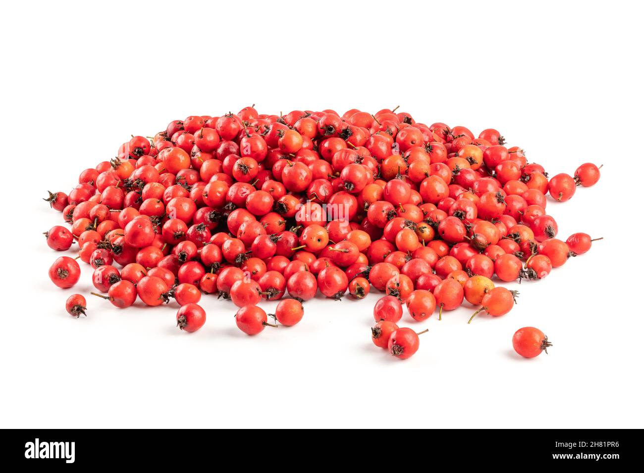 Small pile of haw berries isolated on white background Stock Photo - Alamy